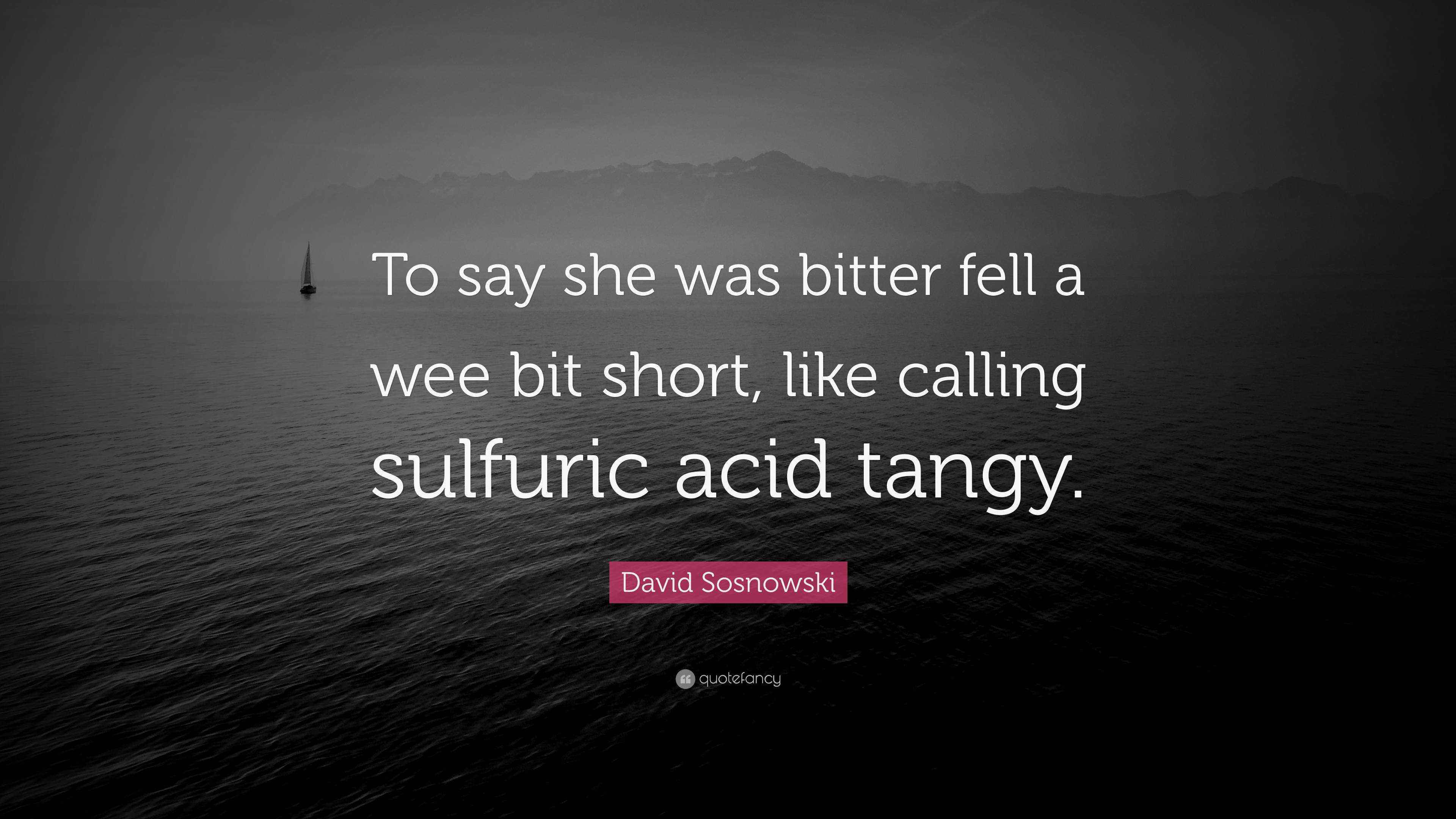 David Sosnowski Quote: “To say she was bitter fell a wee bit short ...