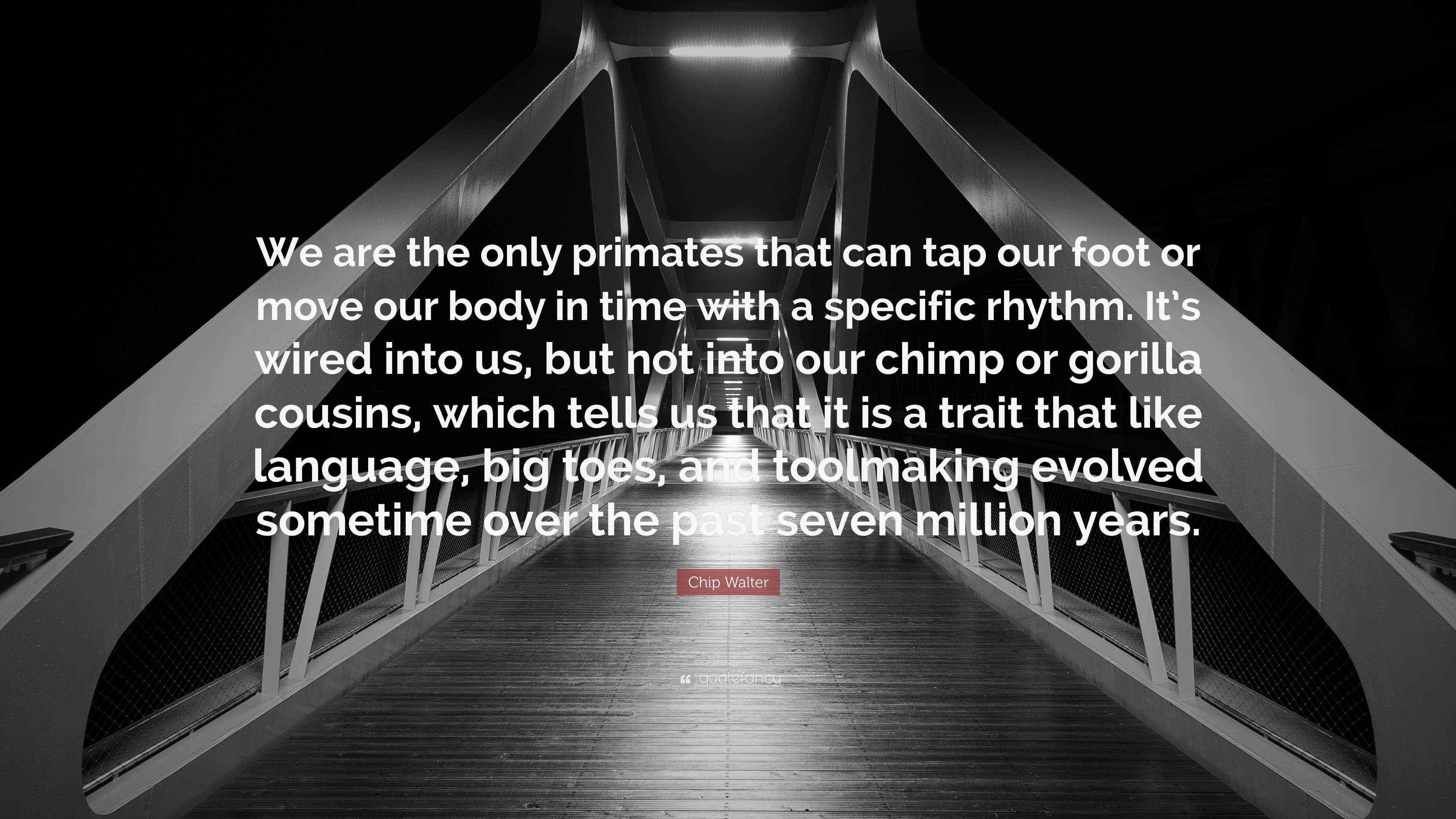 Chip Walter Quote: “We are the only primates that can tap our foot or ...