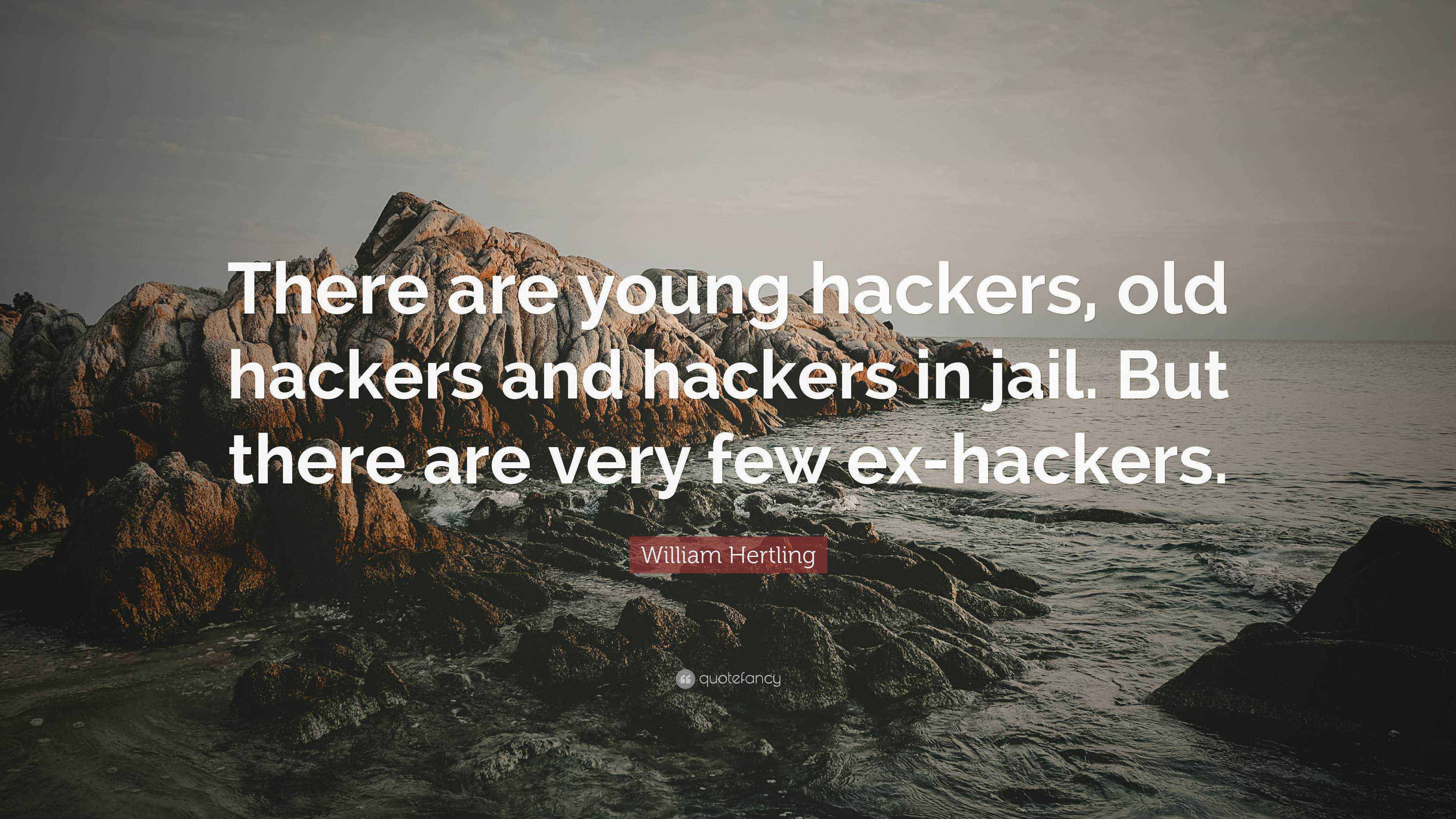 William Hertling Quote: “There are young hackers, old hackers and ...