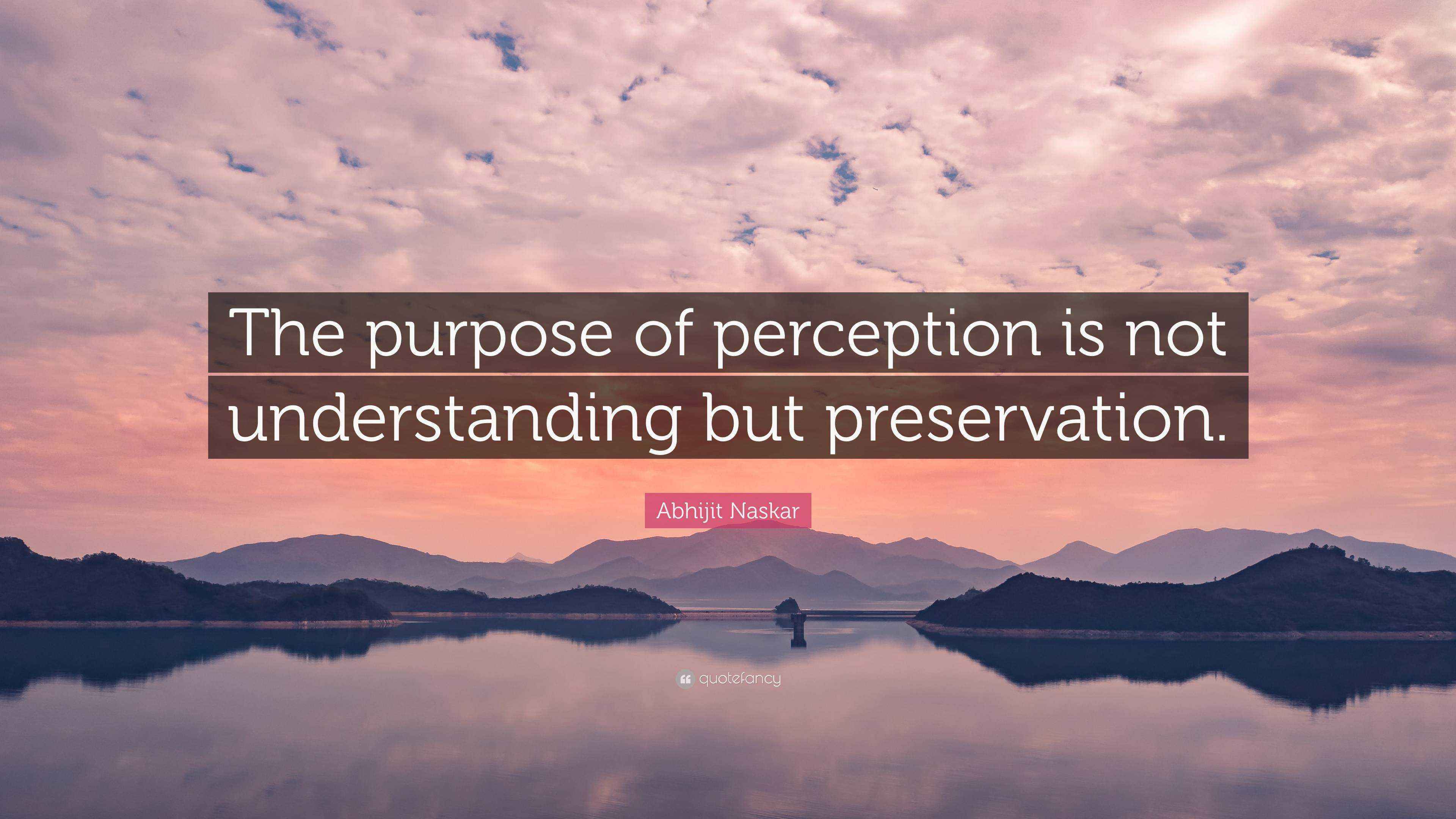 Abhijit Naskar Quote: “The purpose of perception is not understanding ...