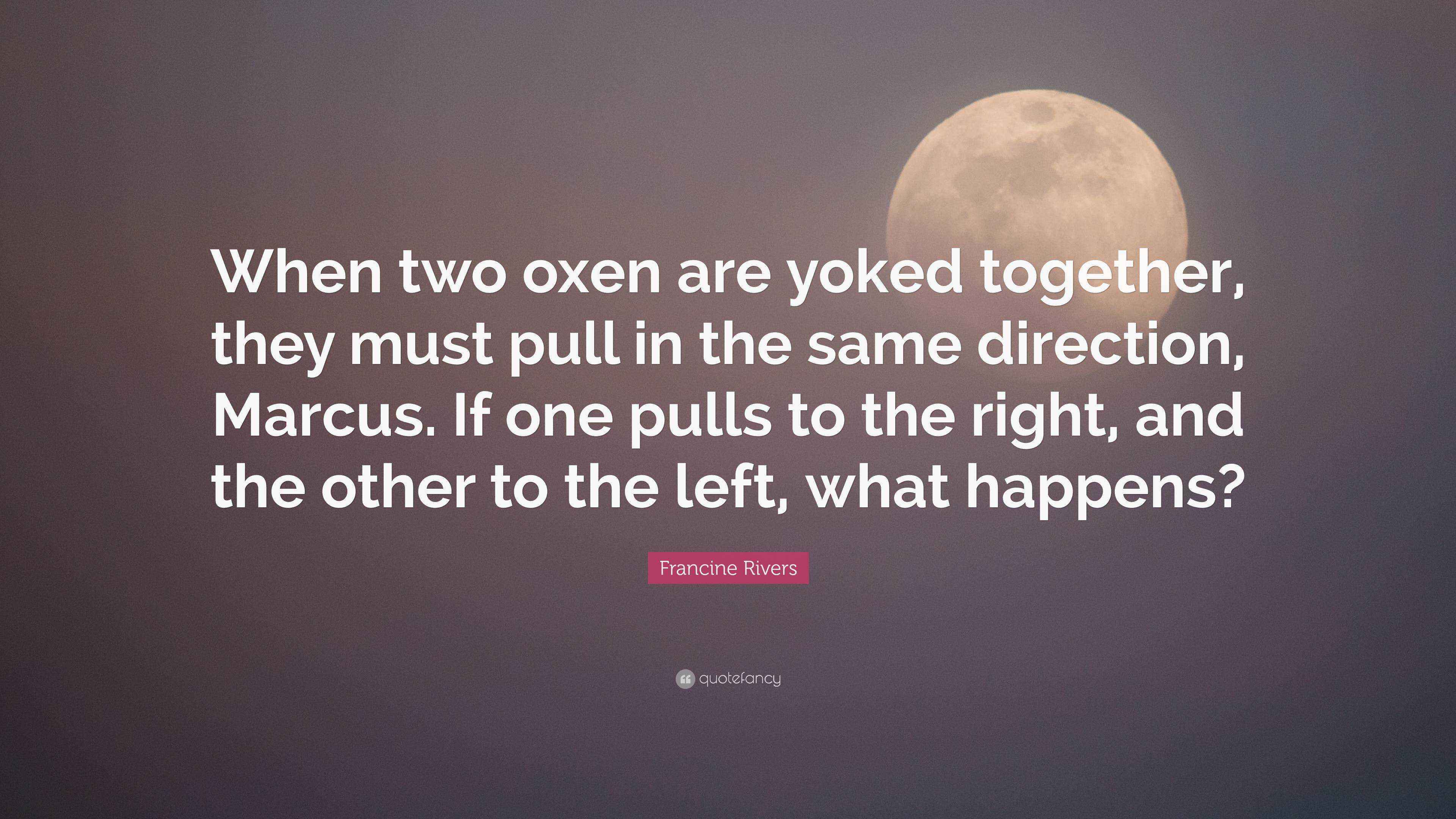 Francine Rivers Quote: “When two oxen are yoked together, they must ...