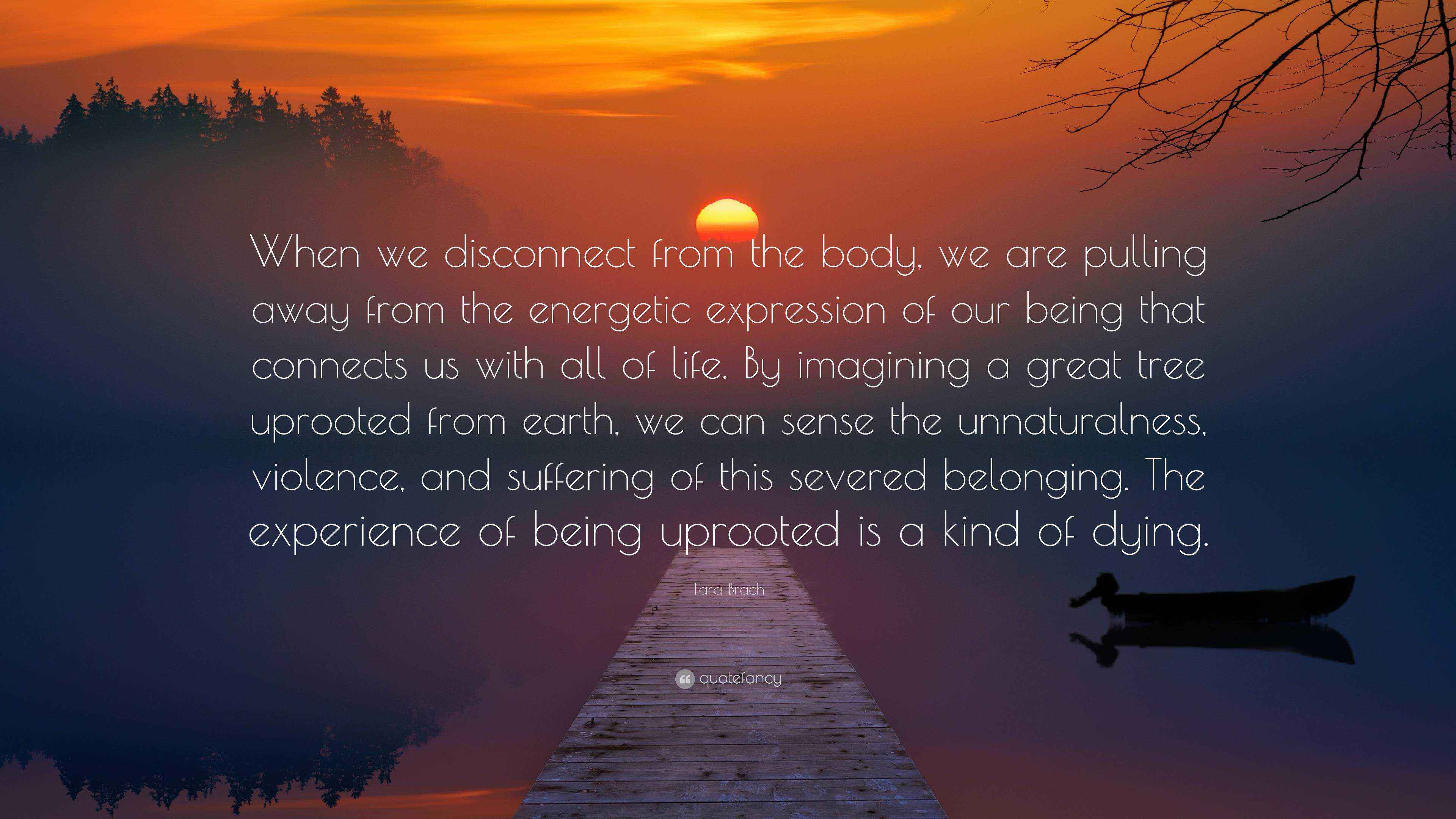 Tara Brach Quote: “When we disconnect from the body, we are pulling ...