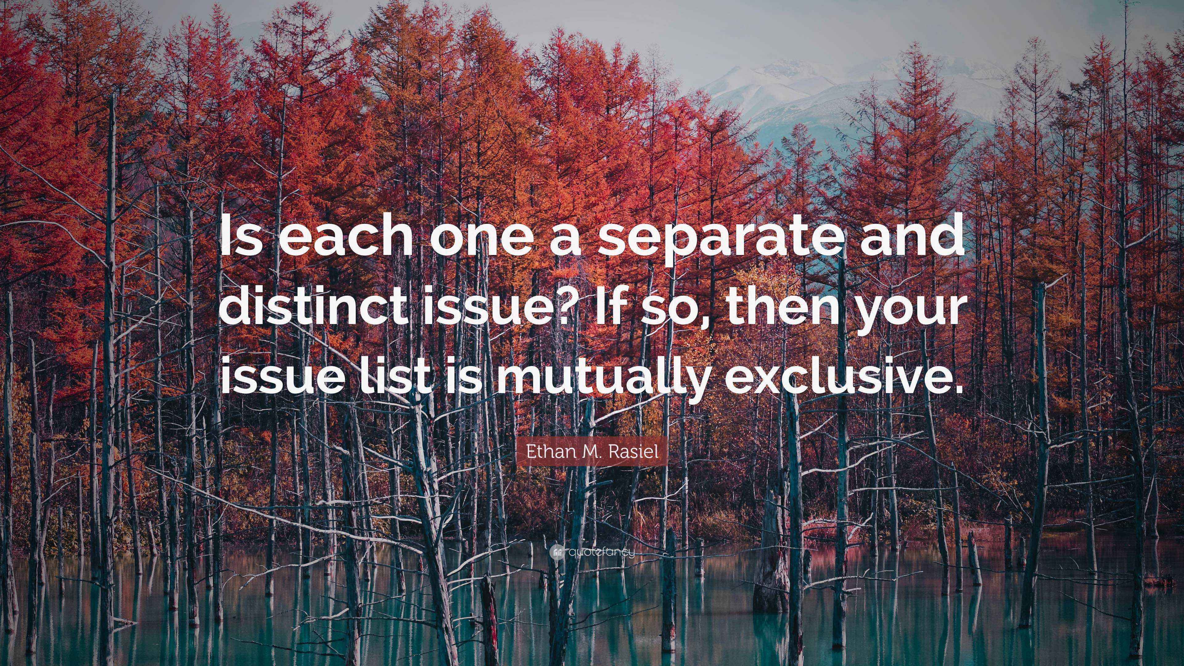 Ethan M. Rasiel Quote: “Is each one a separate and distinct issue? If ...