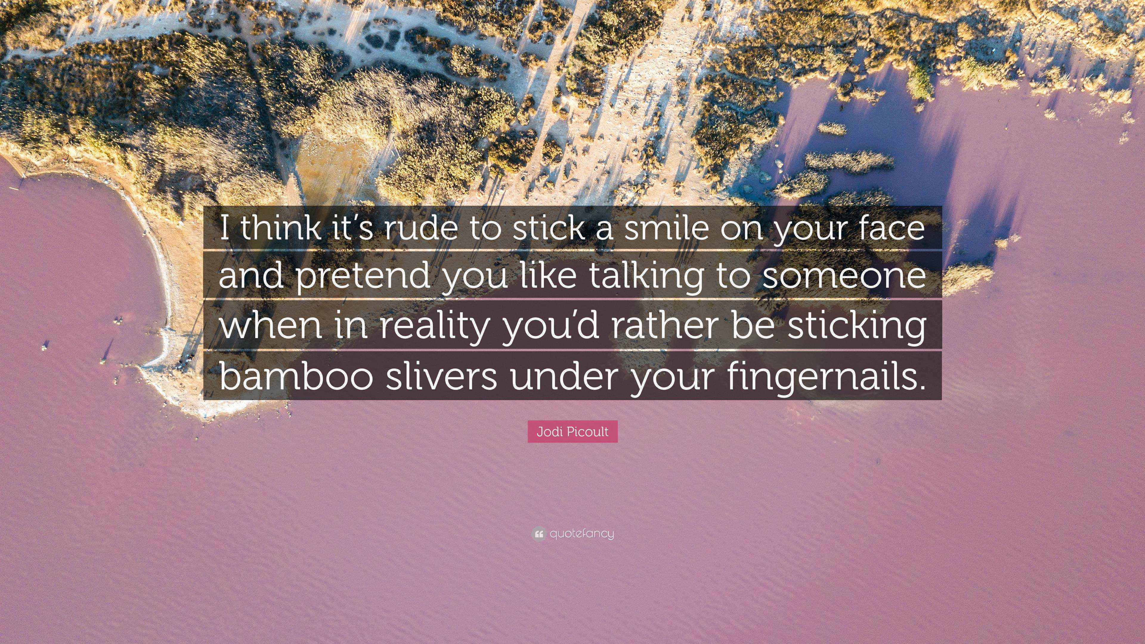 Jodi Picoult Quote: “I think it’s rude to stick a smile on your face ...