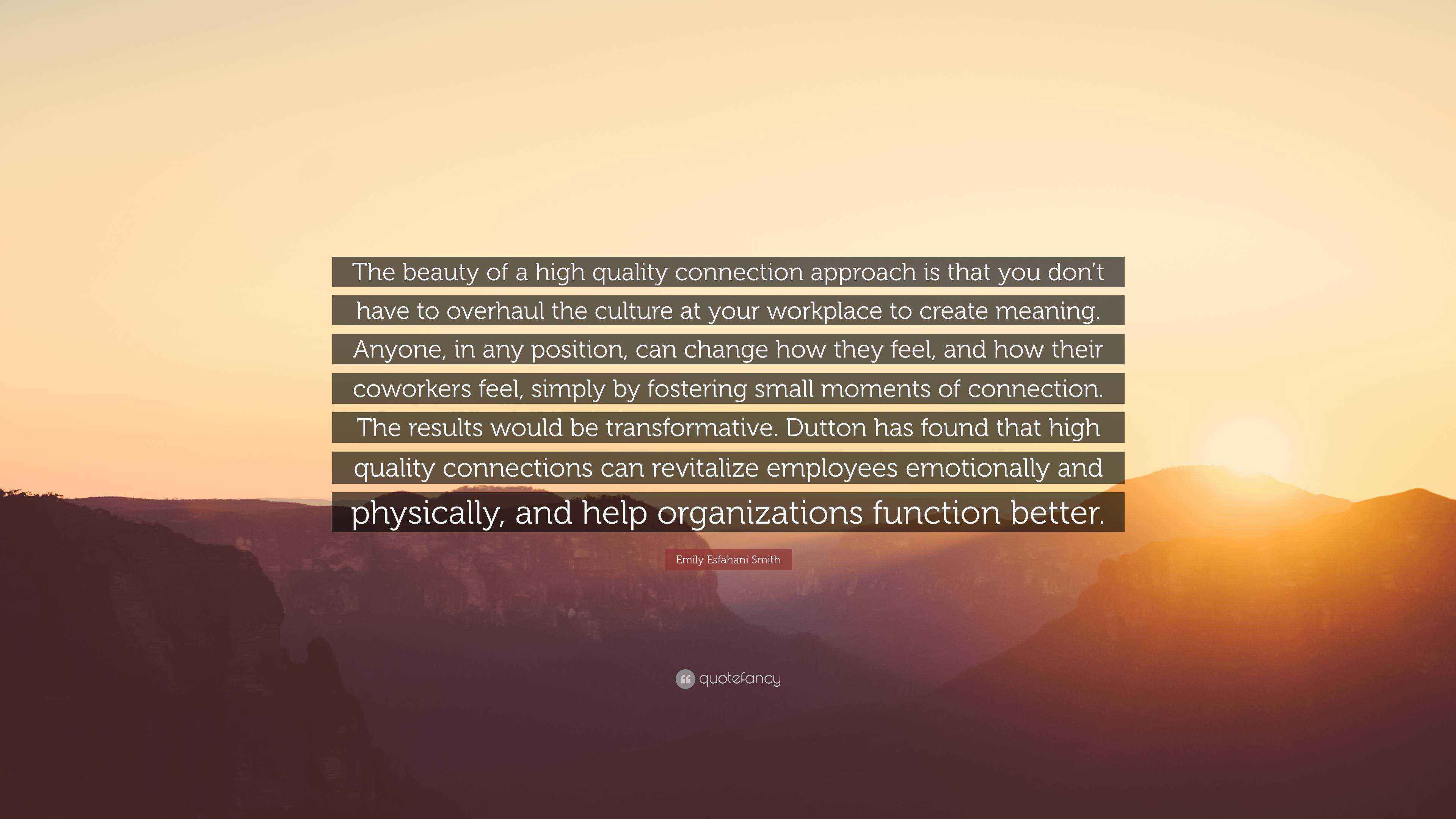 Emily Esfahani Smith Quote: “The beauty of a high quality connection ...