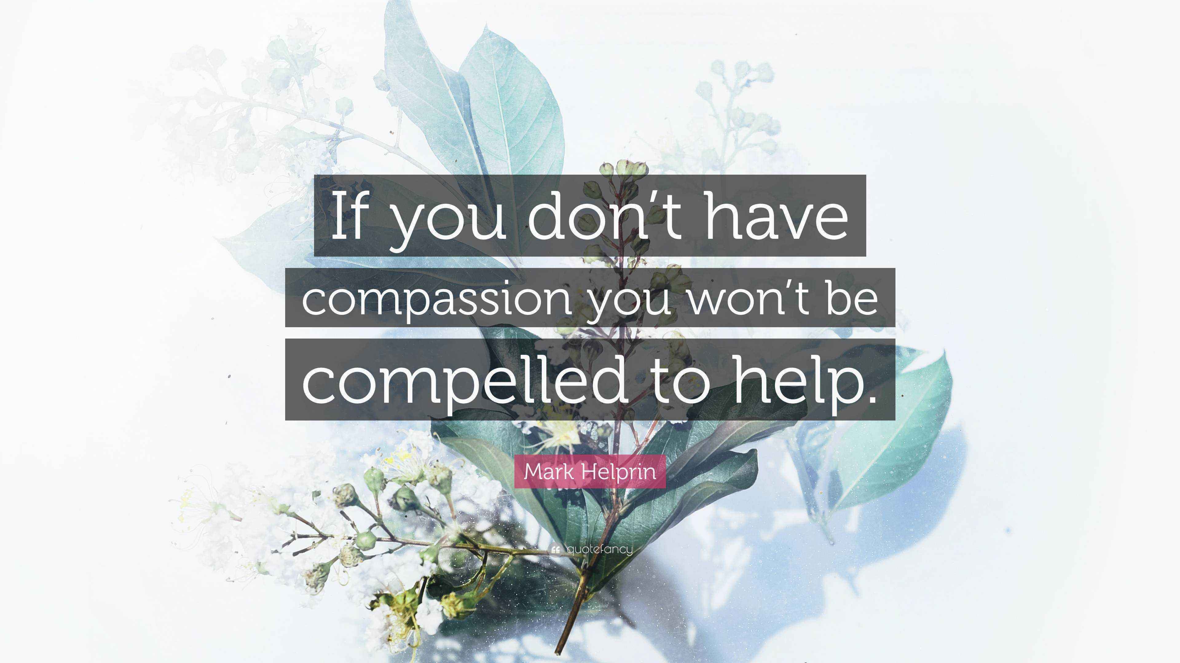 Mark Helprin Quote: “If you don’t have compassion you won’t be ...