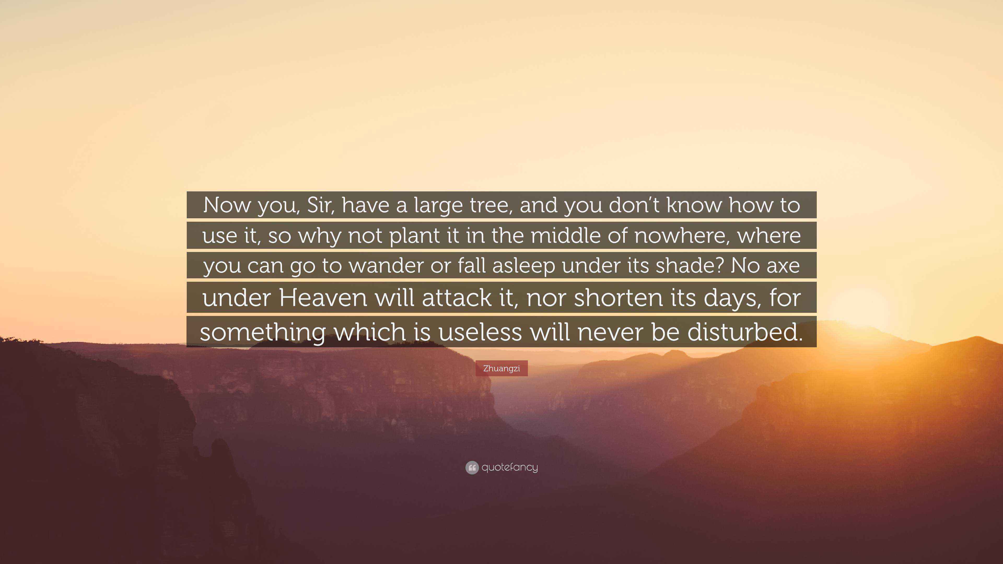 Zhuangzi Quote: “Now you, Sir, have a large tree, and you don’t know ...
