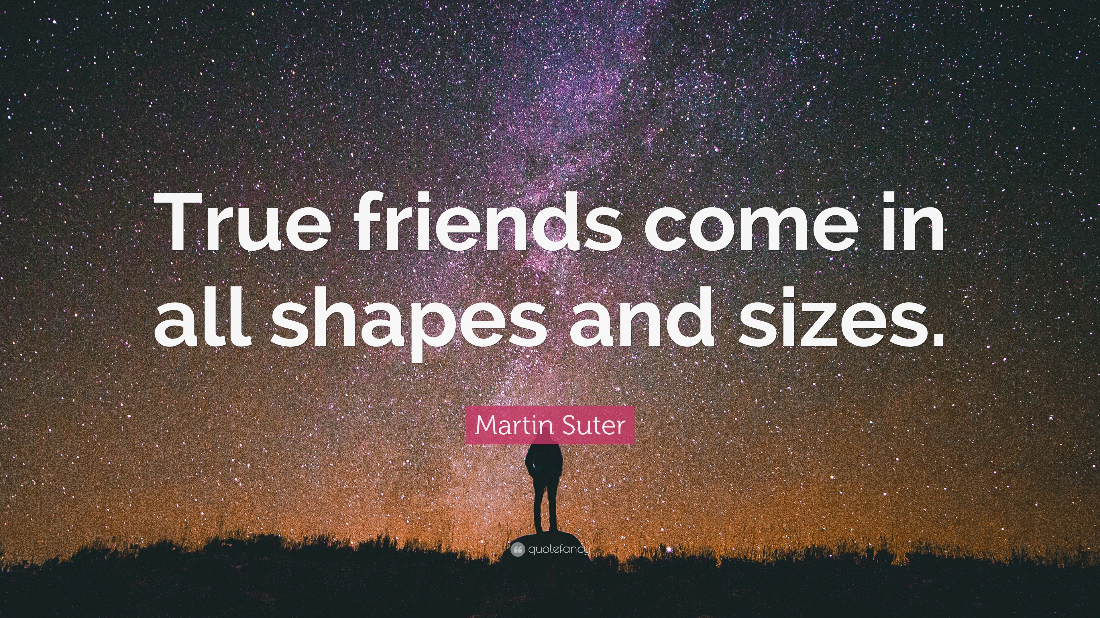 Martin Suter Quote: “True friends come in all shapes and sizes.”