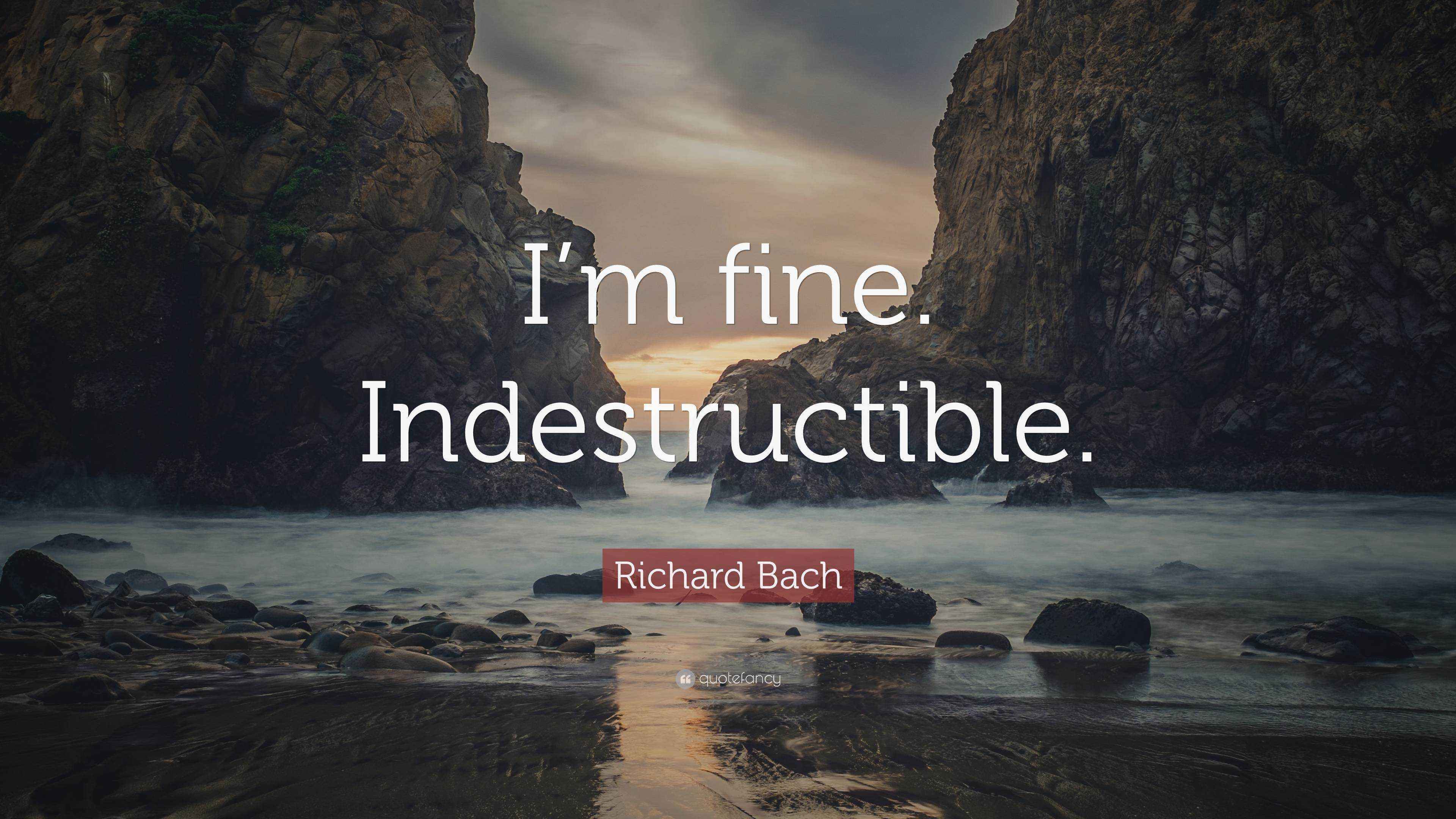 Richard Bach Quote: “I’m fine. Indestructible.”