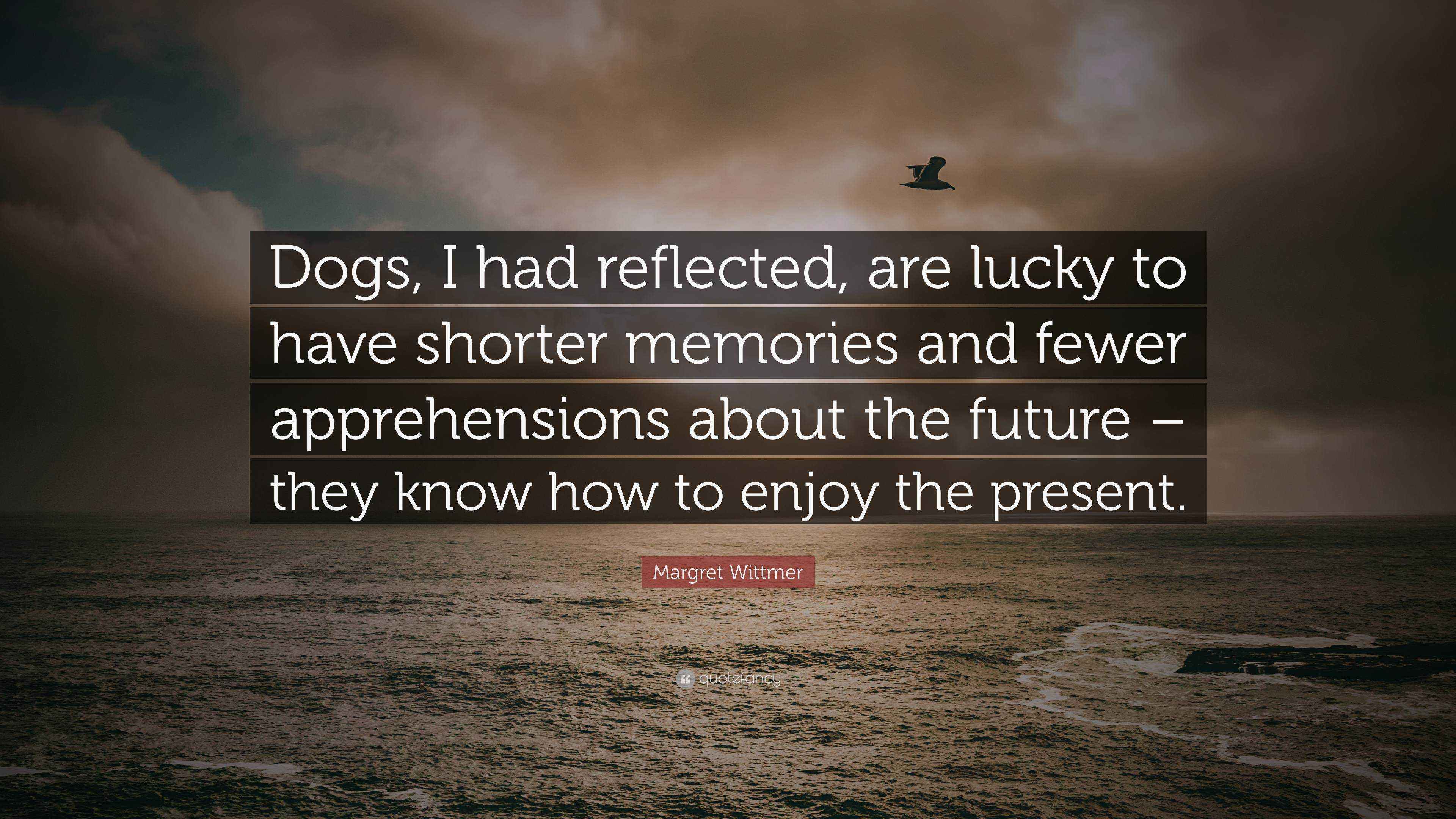 Margret Wittmer Quote: “Dogs, I had reflected, are lucky to have ...