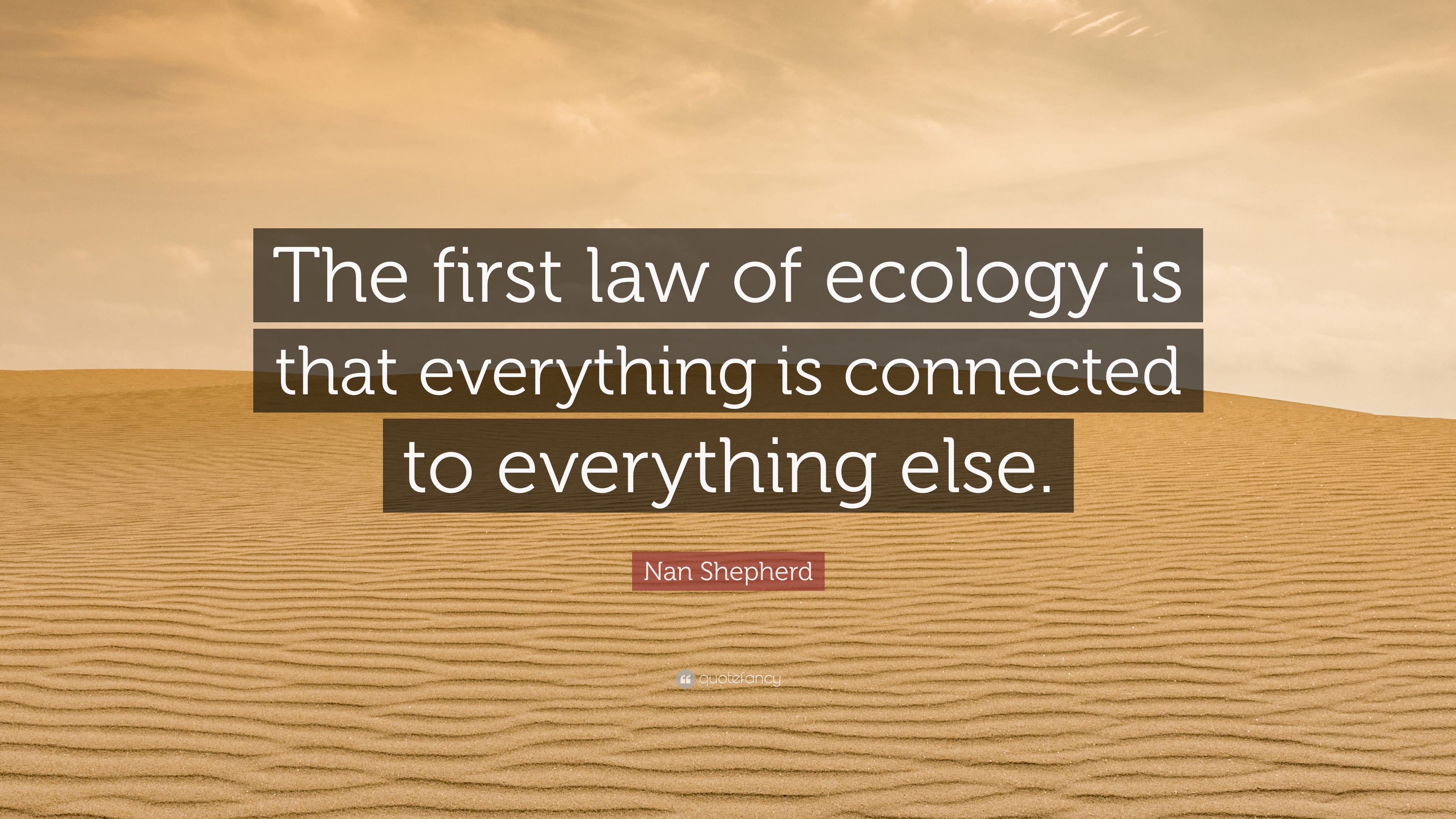 Nan Shepherd Quote: “The first law of ecology is that everything is ...
