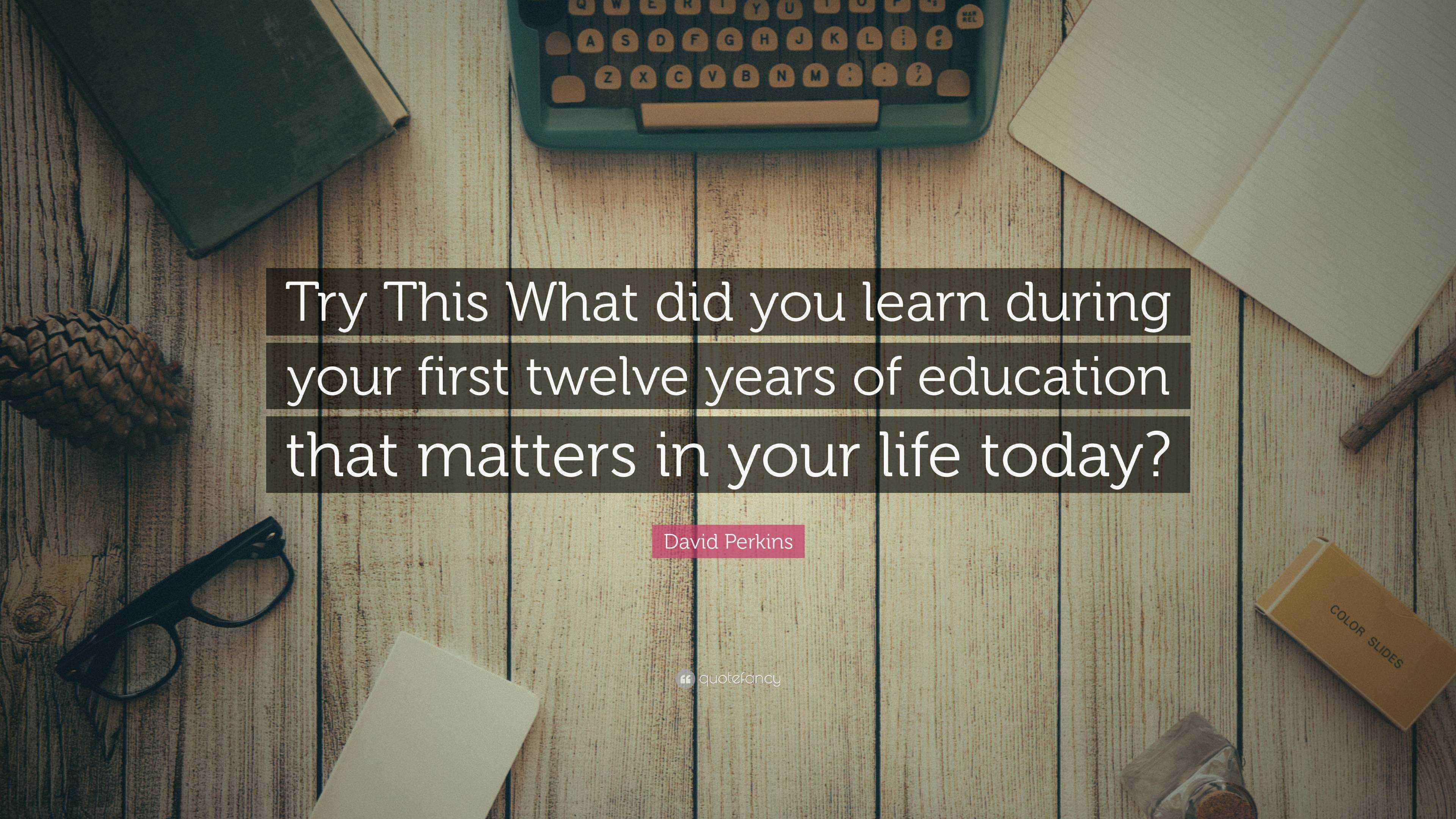 David Perkins Quote: “Try This What did you learn during your first ...