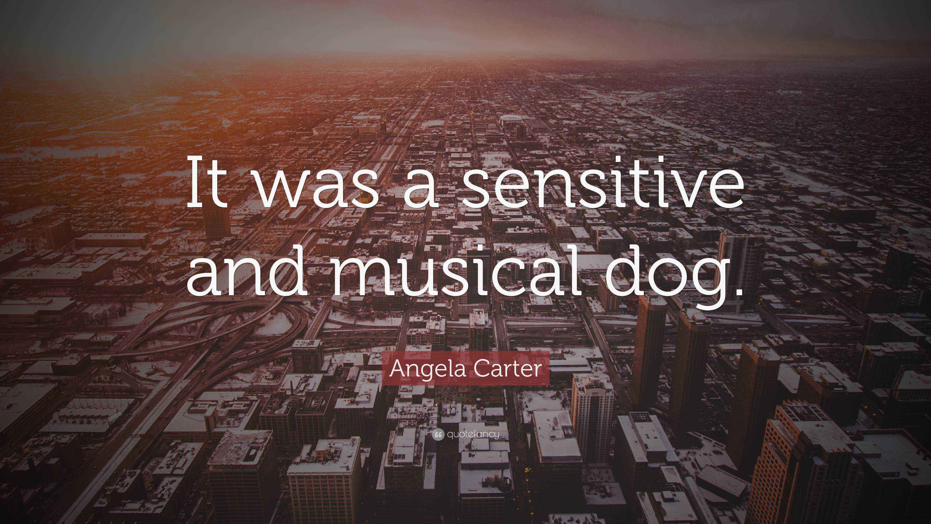 Angela Carter Quote: “It was a sensitive and musical dog.”