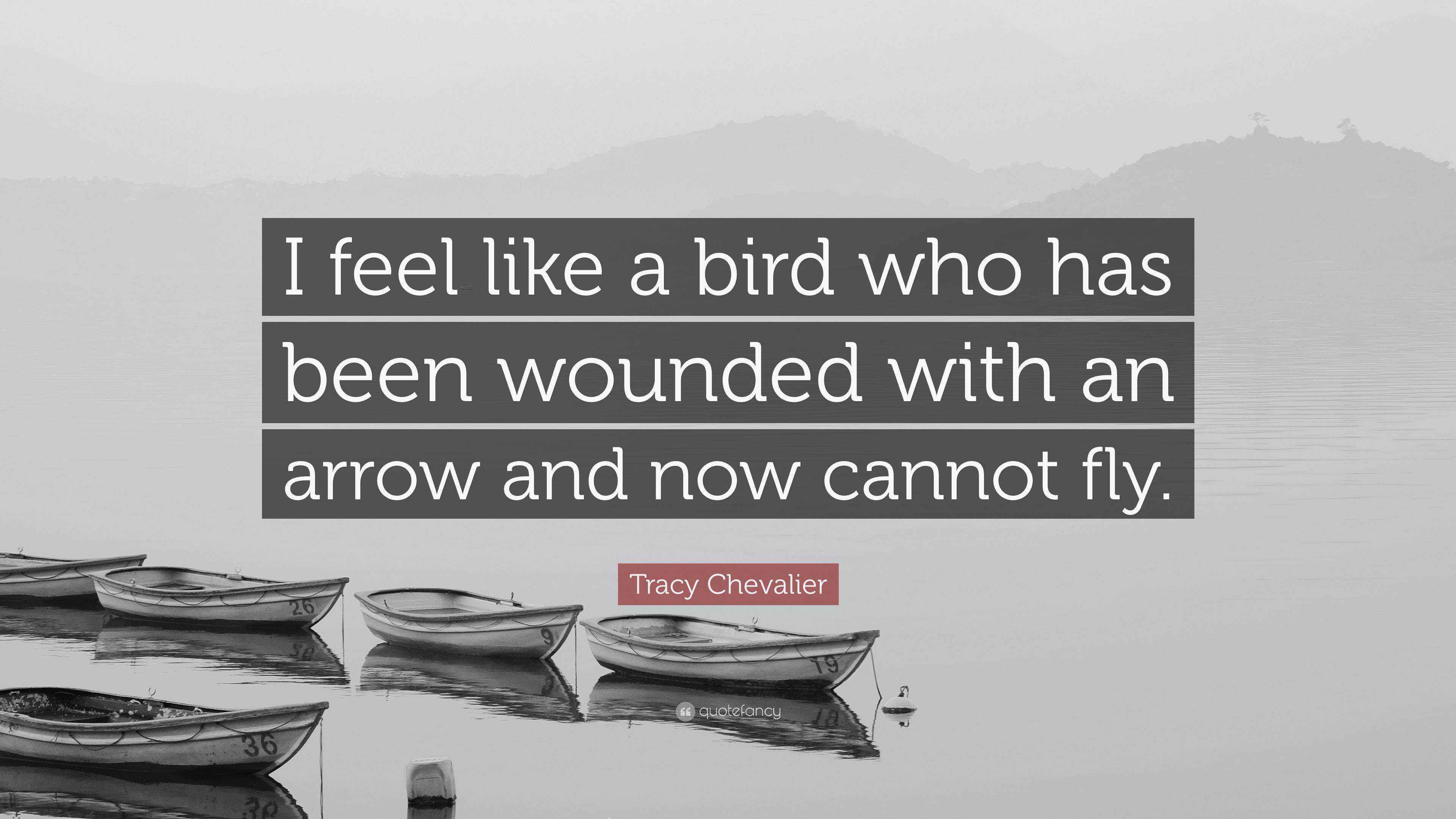 Tracy Chevalier Quote: “I feel like a bird who has been wounded with an ...