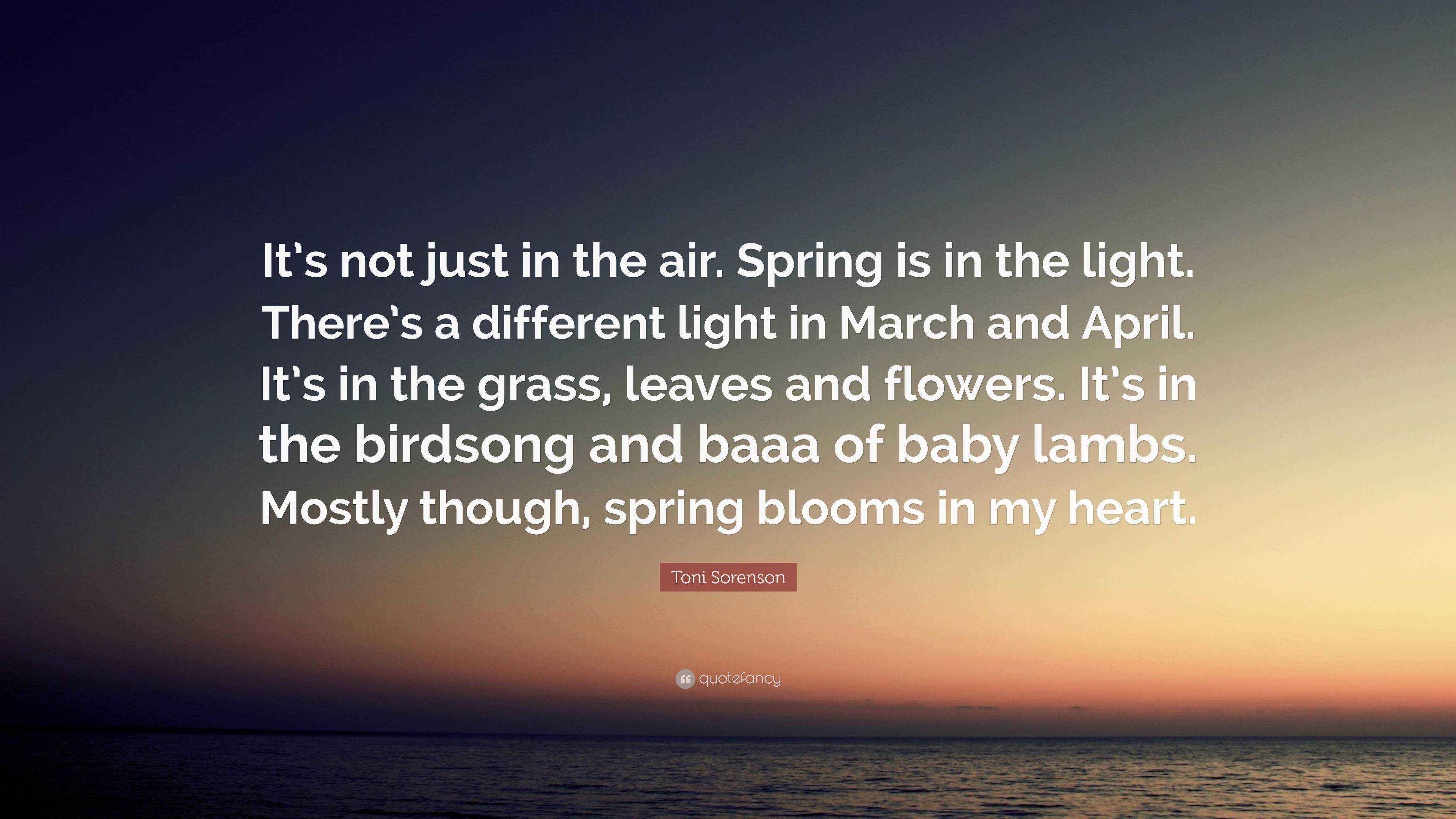 Toni Sorenson Quote: “It’s not just in the air. Spring is in the light ...