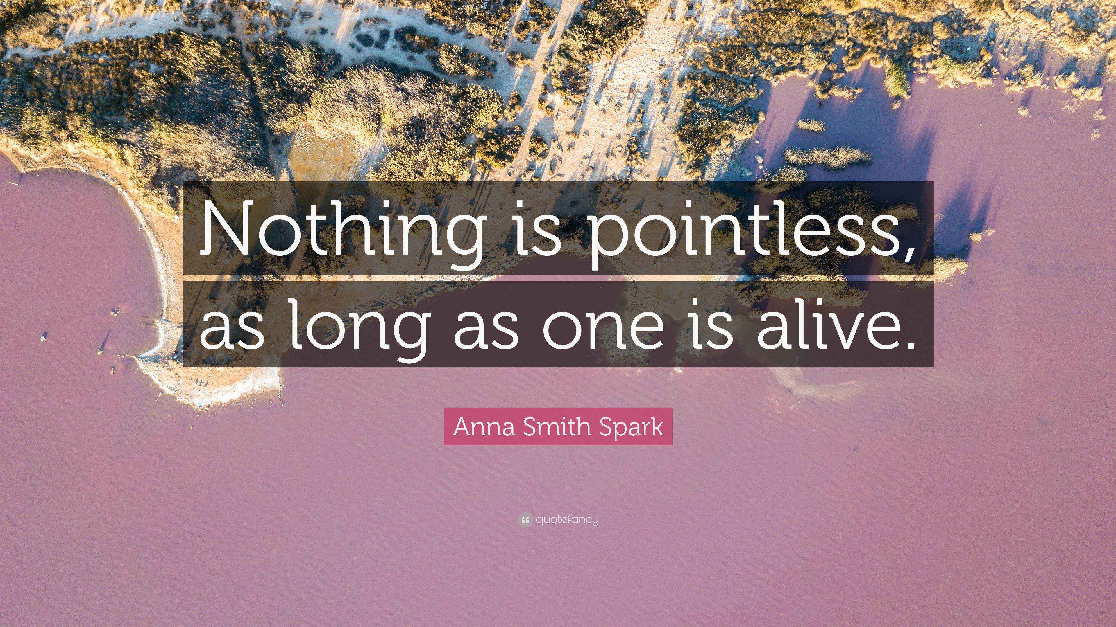 Anna Smith Spark Quote: “Nothing is pointless, as long as one is alive.”