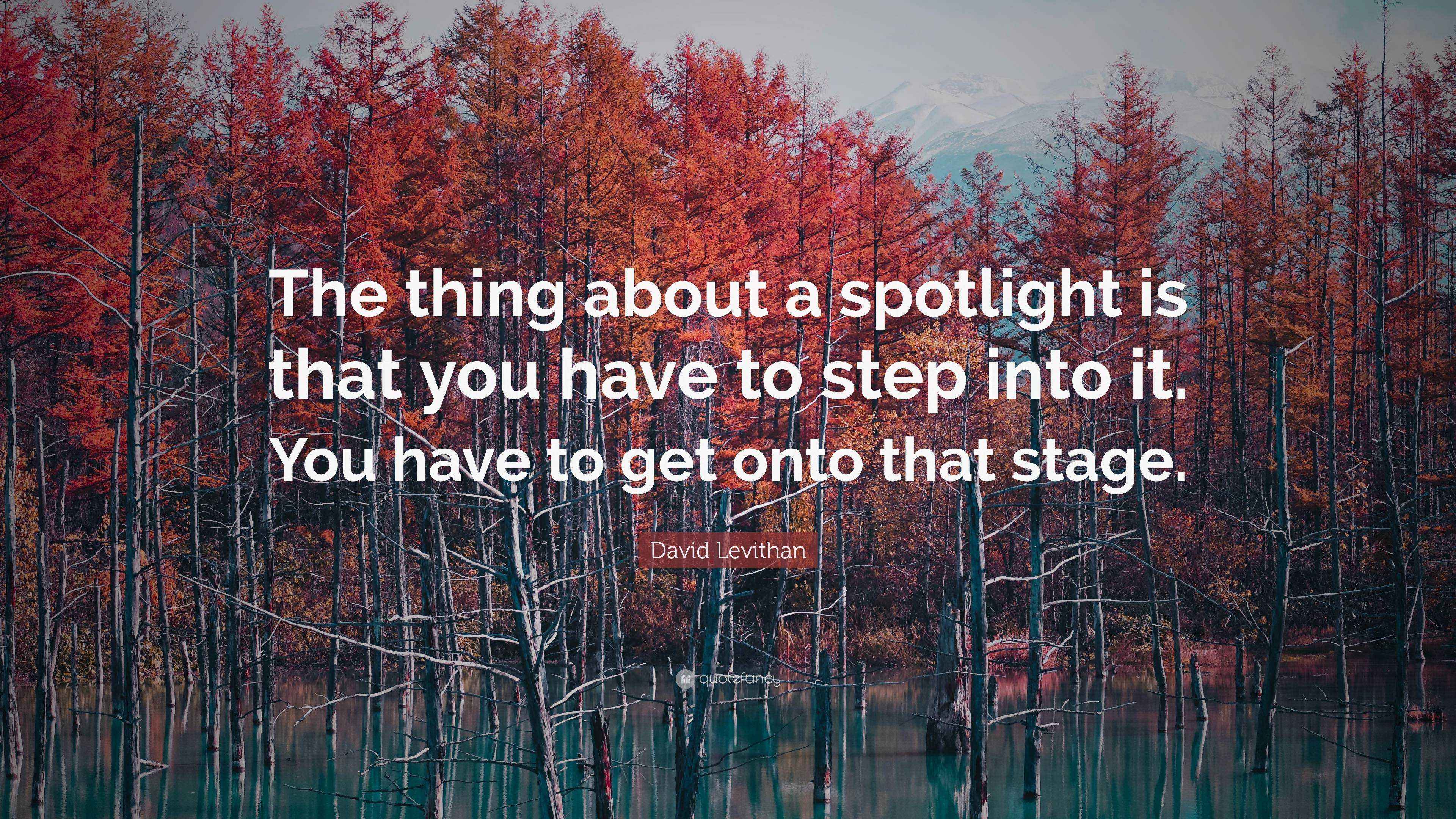David Levithan Quote: “The thing about a spotlight is that you have to ...