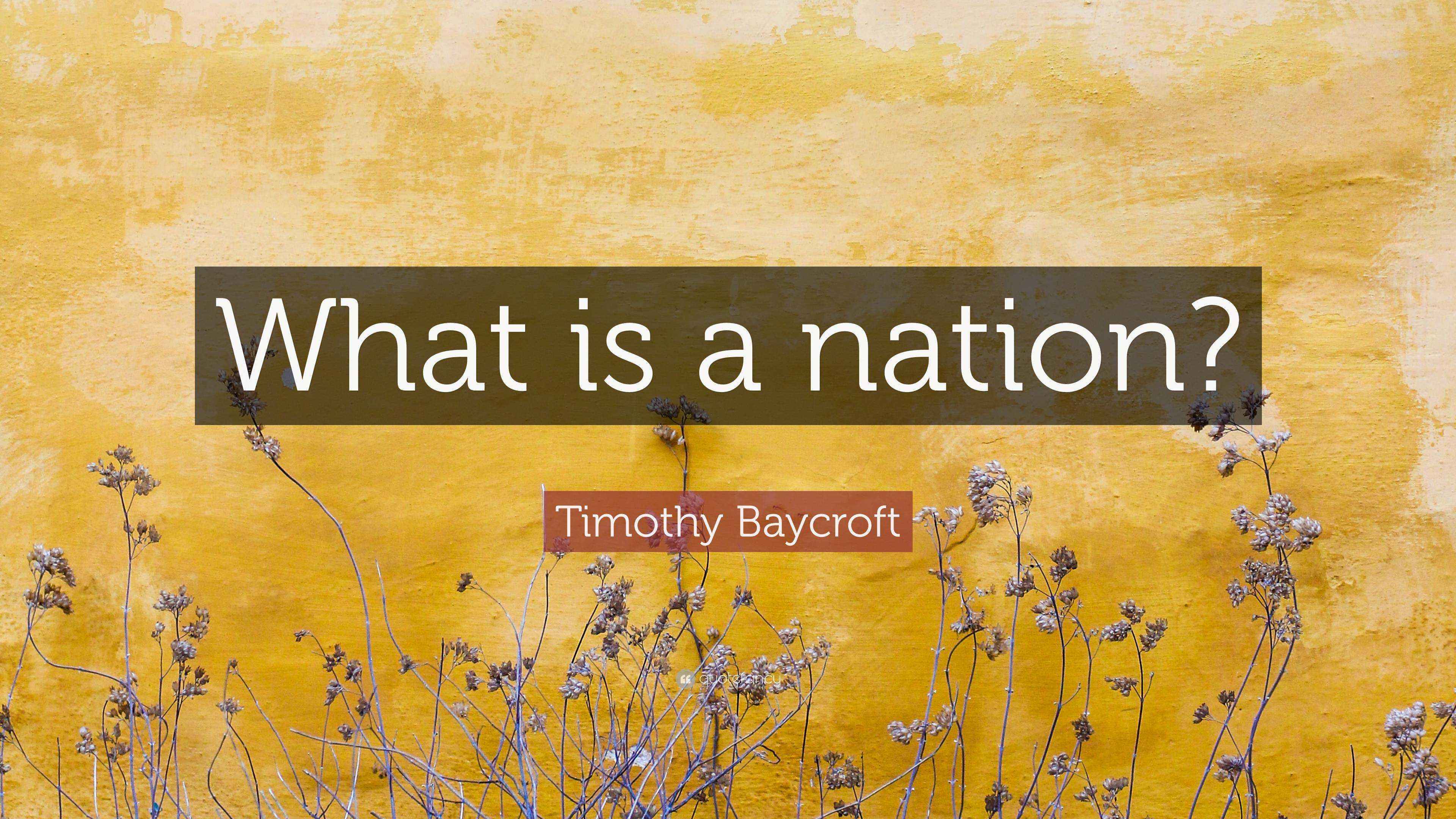 Timothy Baycroft Quote: “What is a nation?”