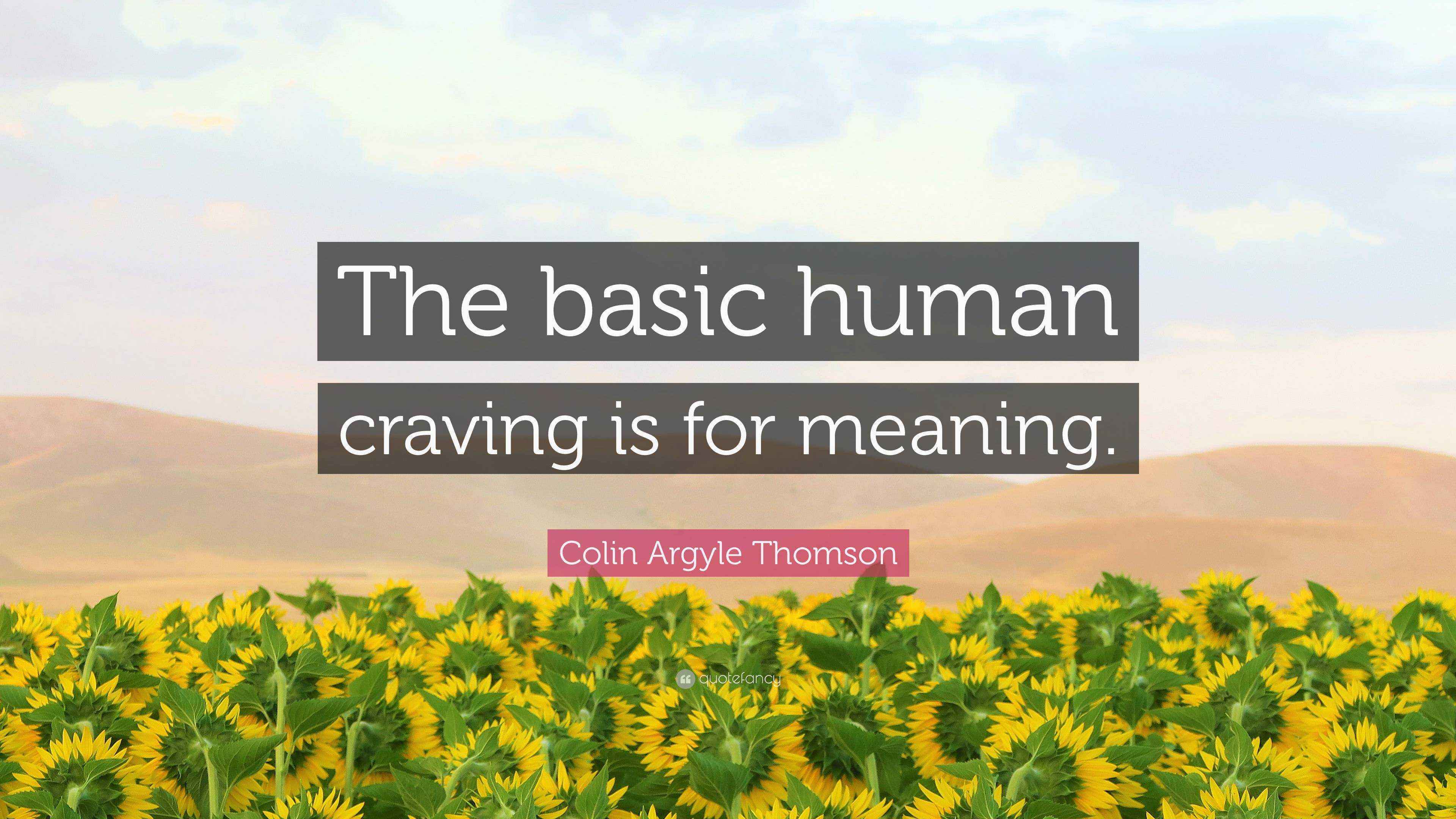 Colin Argyle Thomson Quote: “The basic human craving is for meaning.”