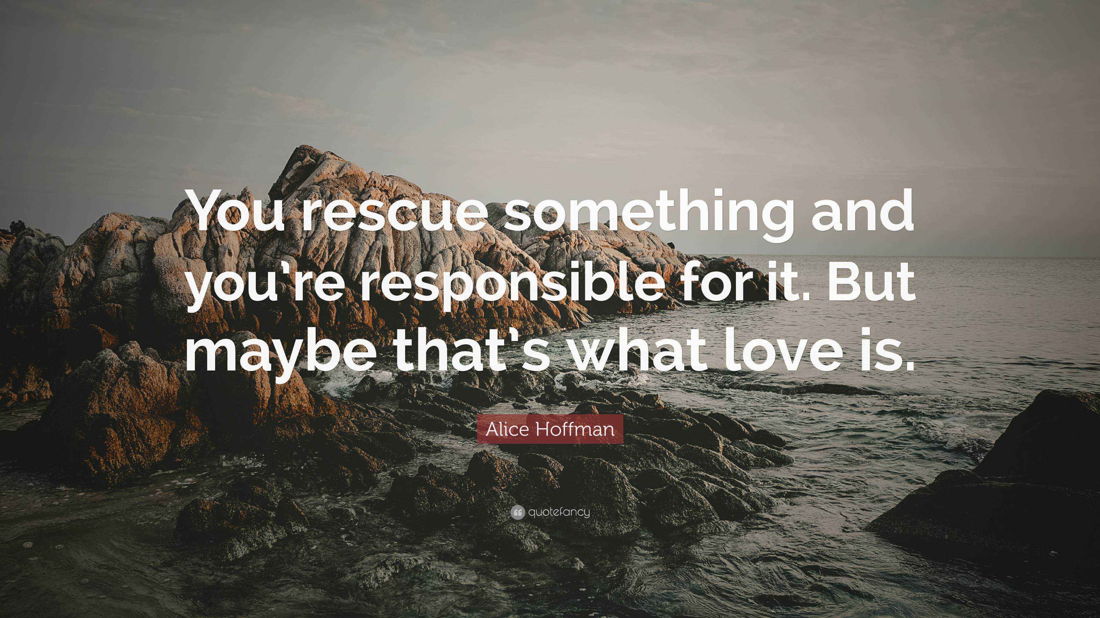 Alice Hoffman Quote: “You rescue something and you’re responsible for ...