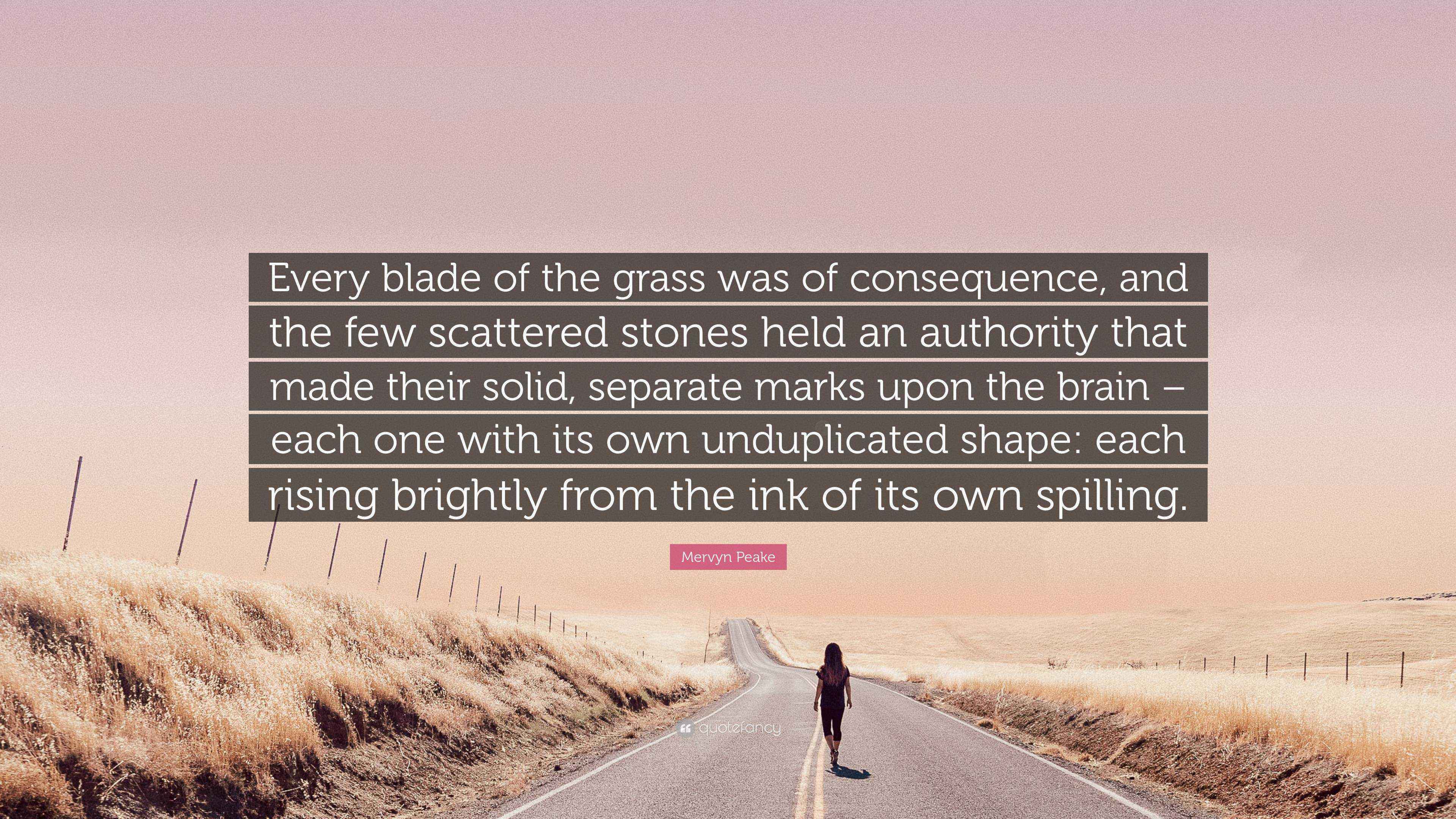 Mervyn Peake Quote: “Every blade of the grass was of consequence, and ...