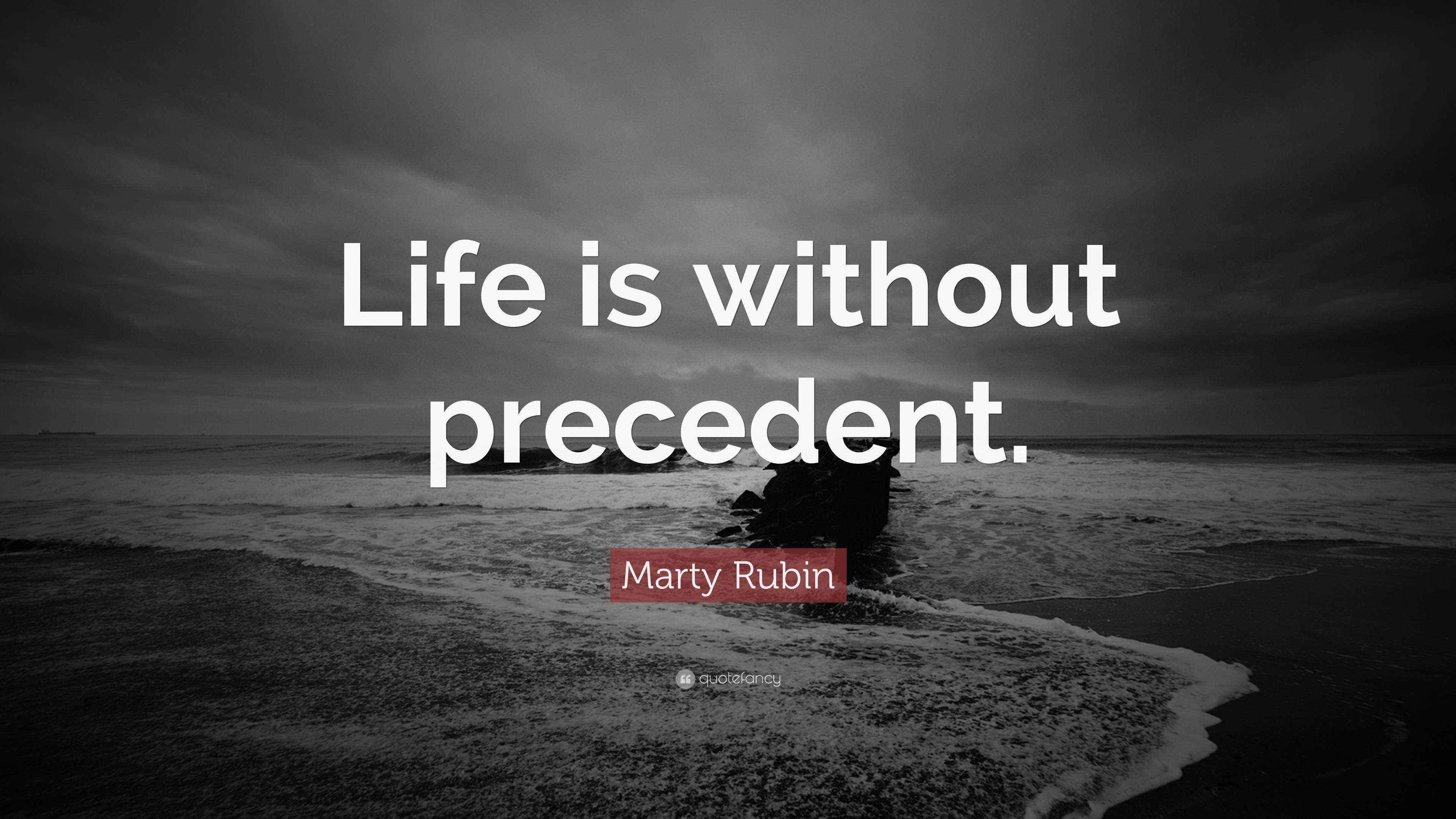 Marty Rubin Quote: “Life is without precedent.”
