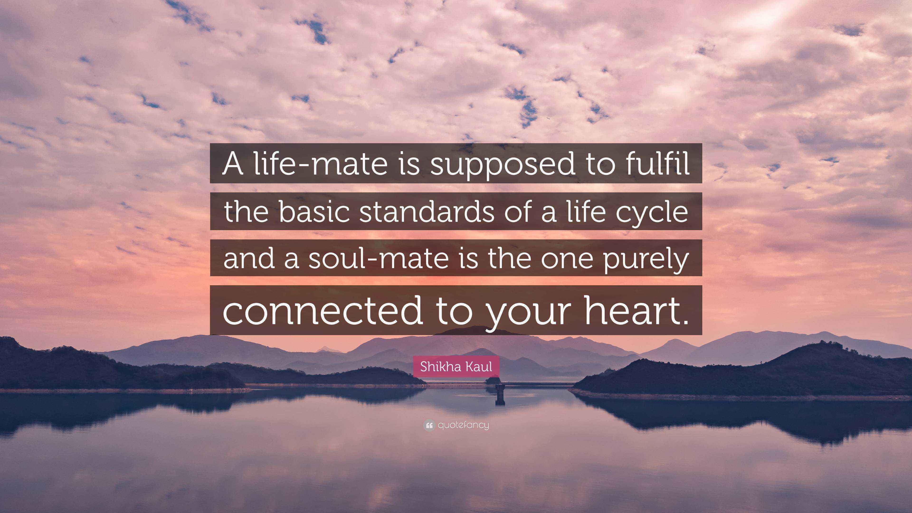 Shikha Kaul Quote: “A life-mate is supposed to fulfil the basic ...