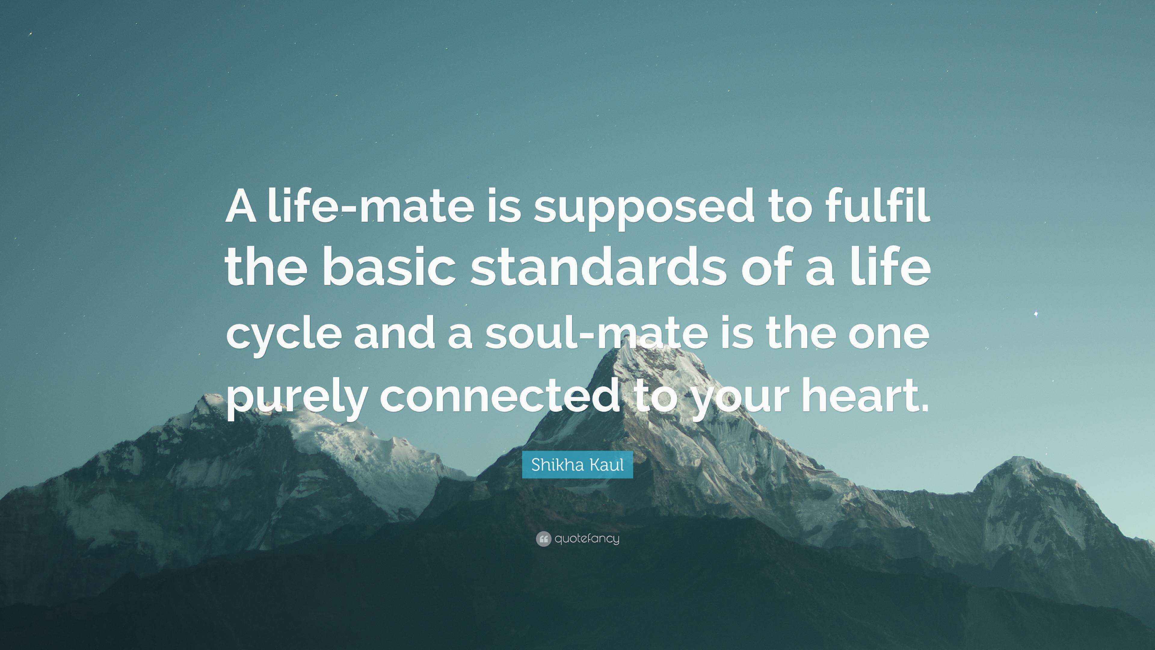 Shikha Kaul Quote: “A life-mate is supposed to fulfil the basic ...