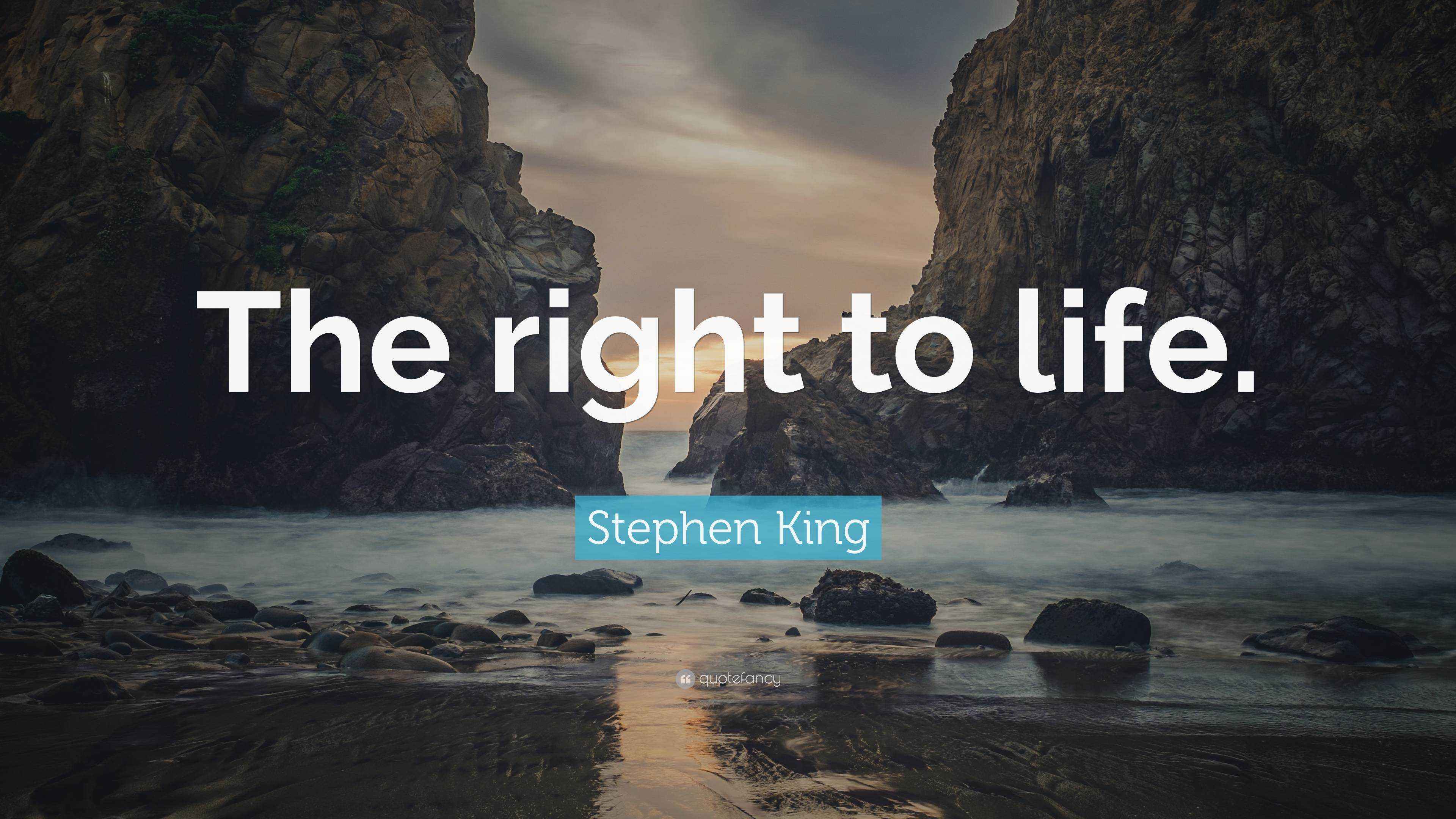 Stephen King Quote: “The right to life.”