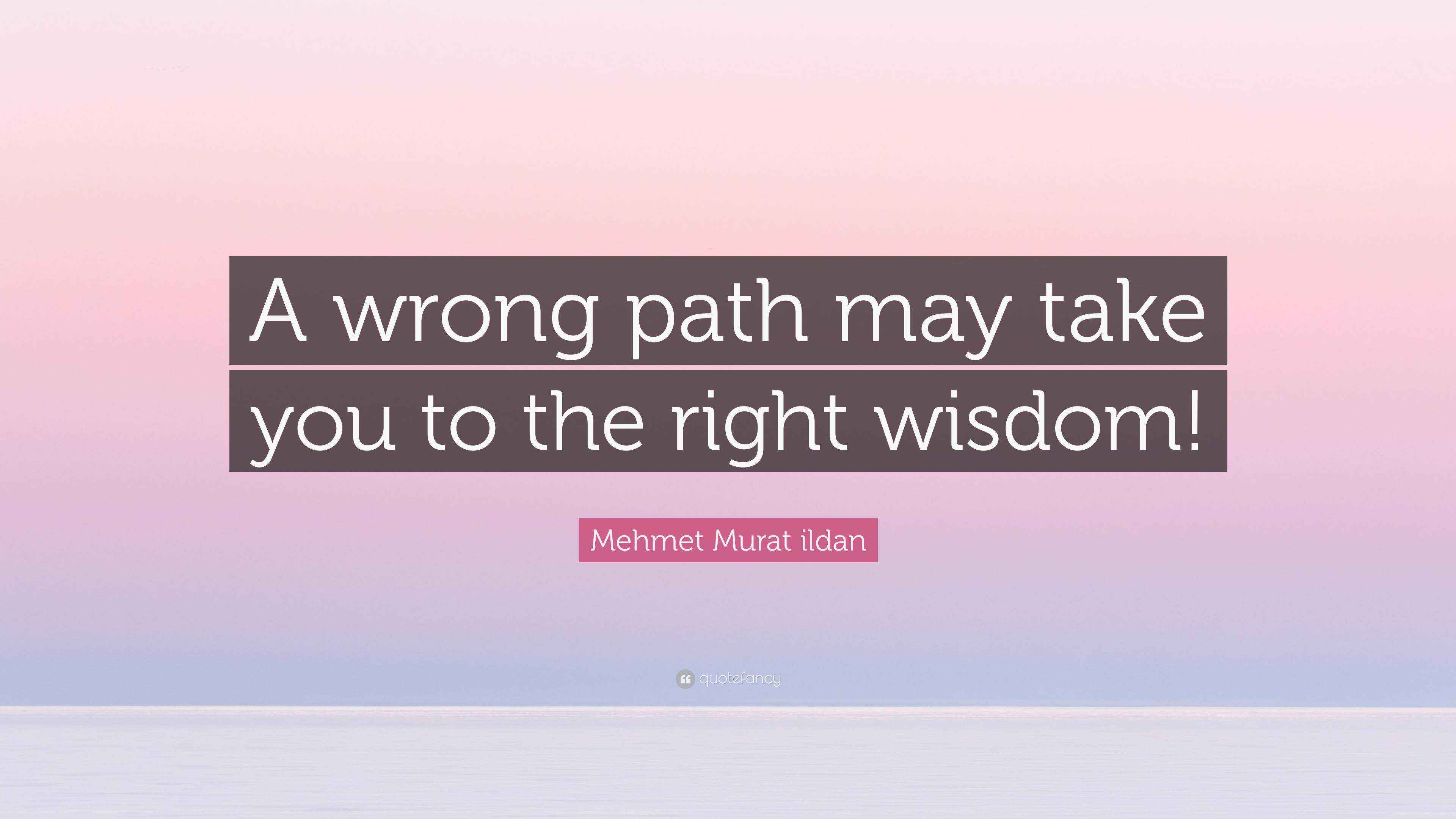 Mehmet Murat ildan Quote: “A wrong path may take you to the right wisdom!”