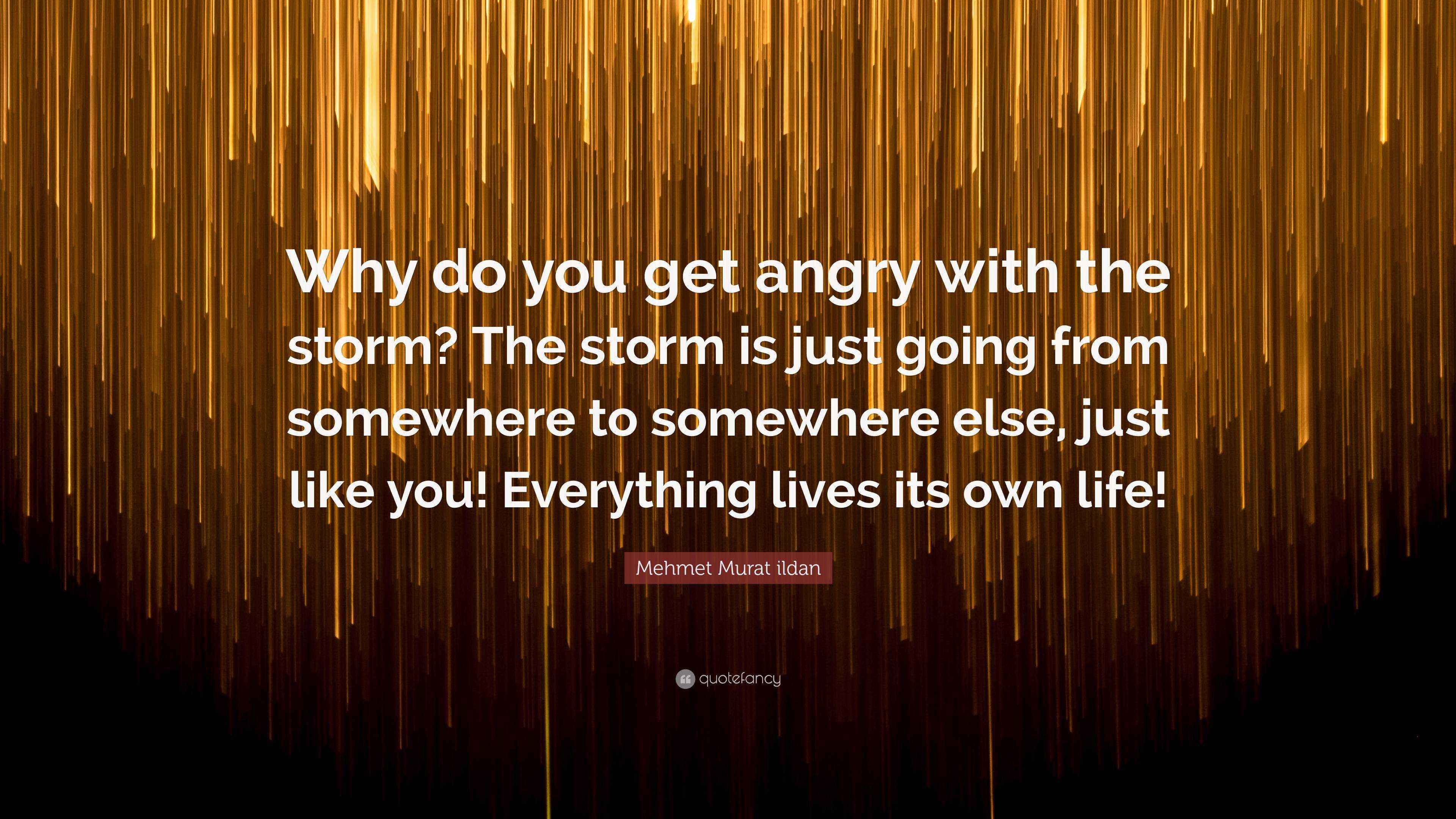 Mehmet Murat ildan Quote: “Why do you get angry with the storm? The ...