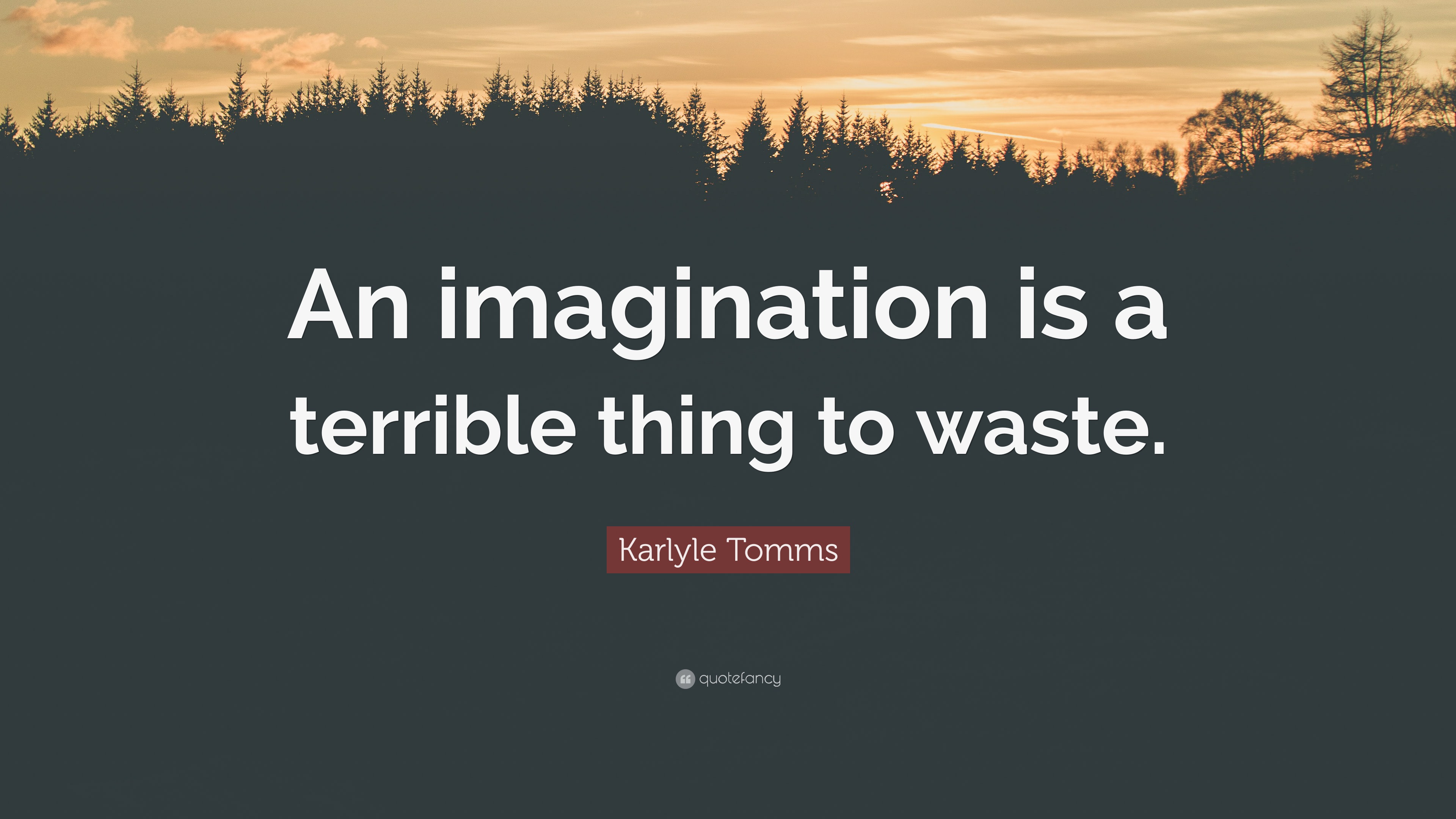 Karlyle Tomms Quote: “An imagination is a terrible thing to waste.”