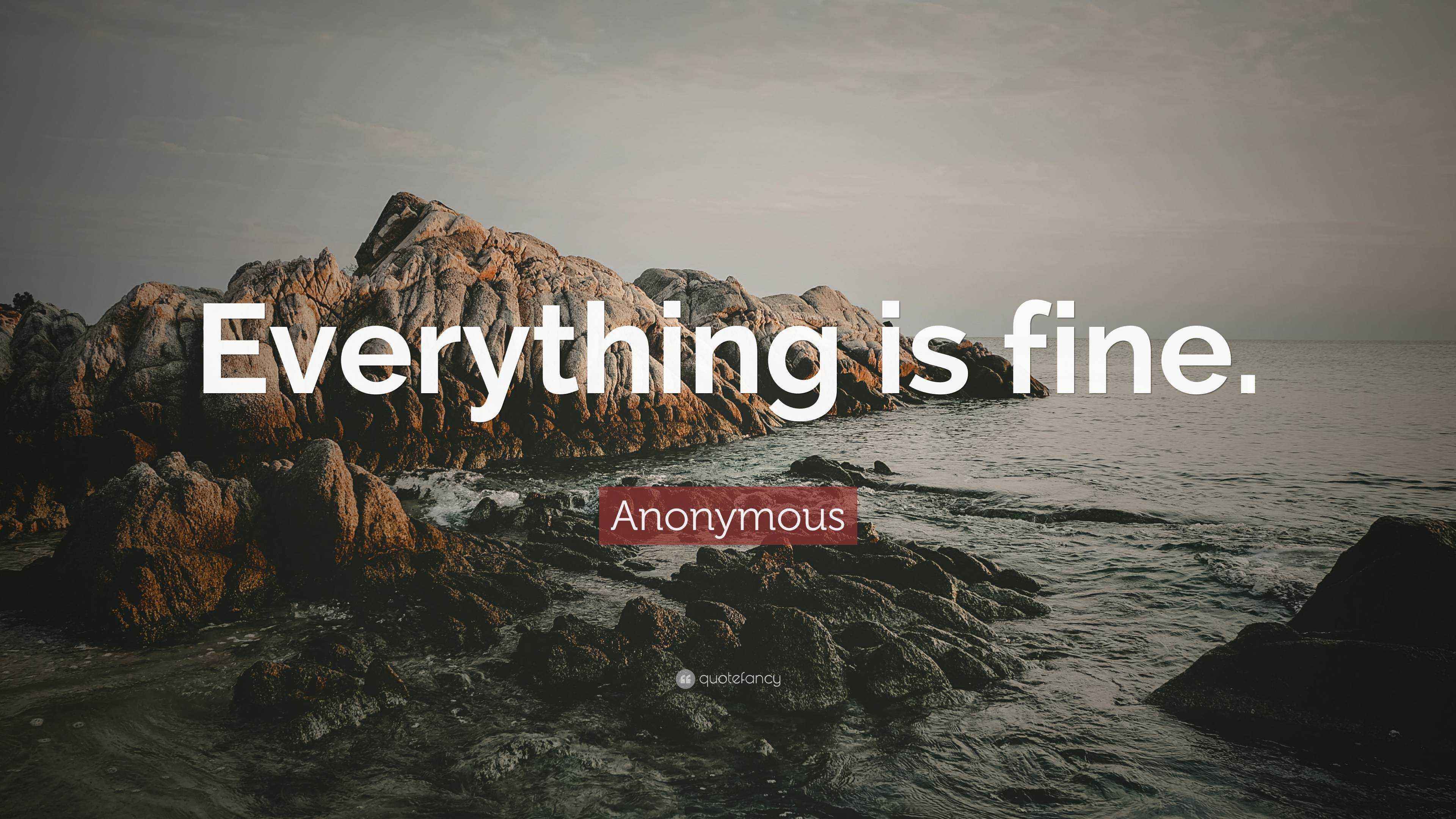 Anonymous Quote: “Everything is fine.”