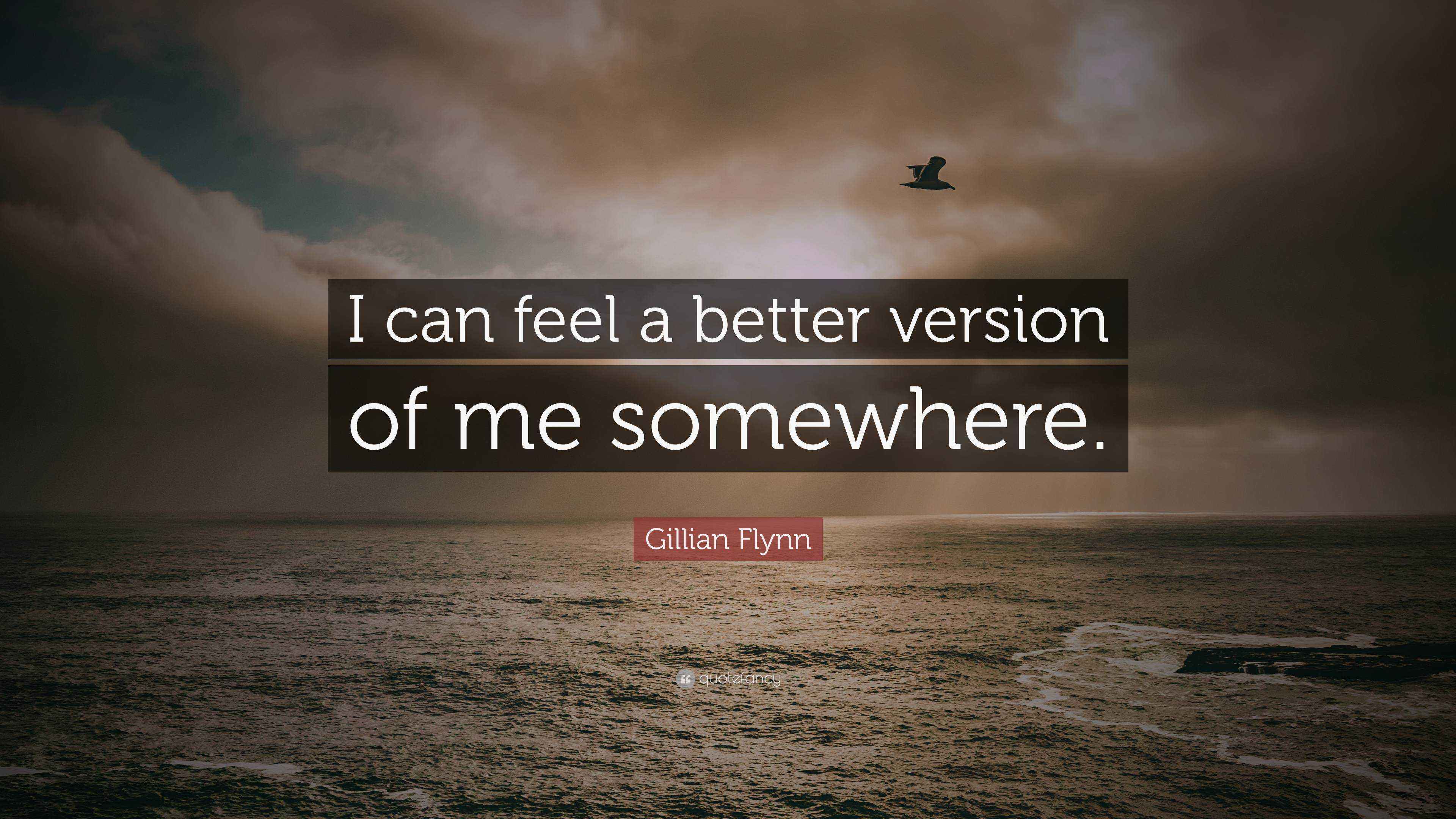 Gillian Flynn Quote: “I can feel a better version of me somewhere.”