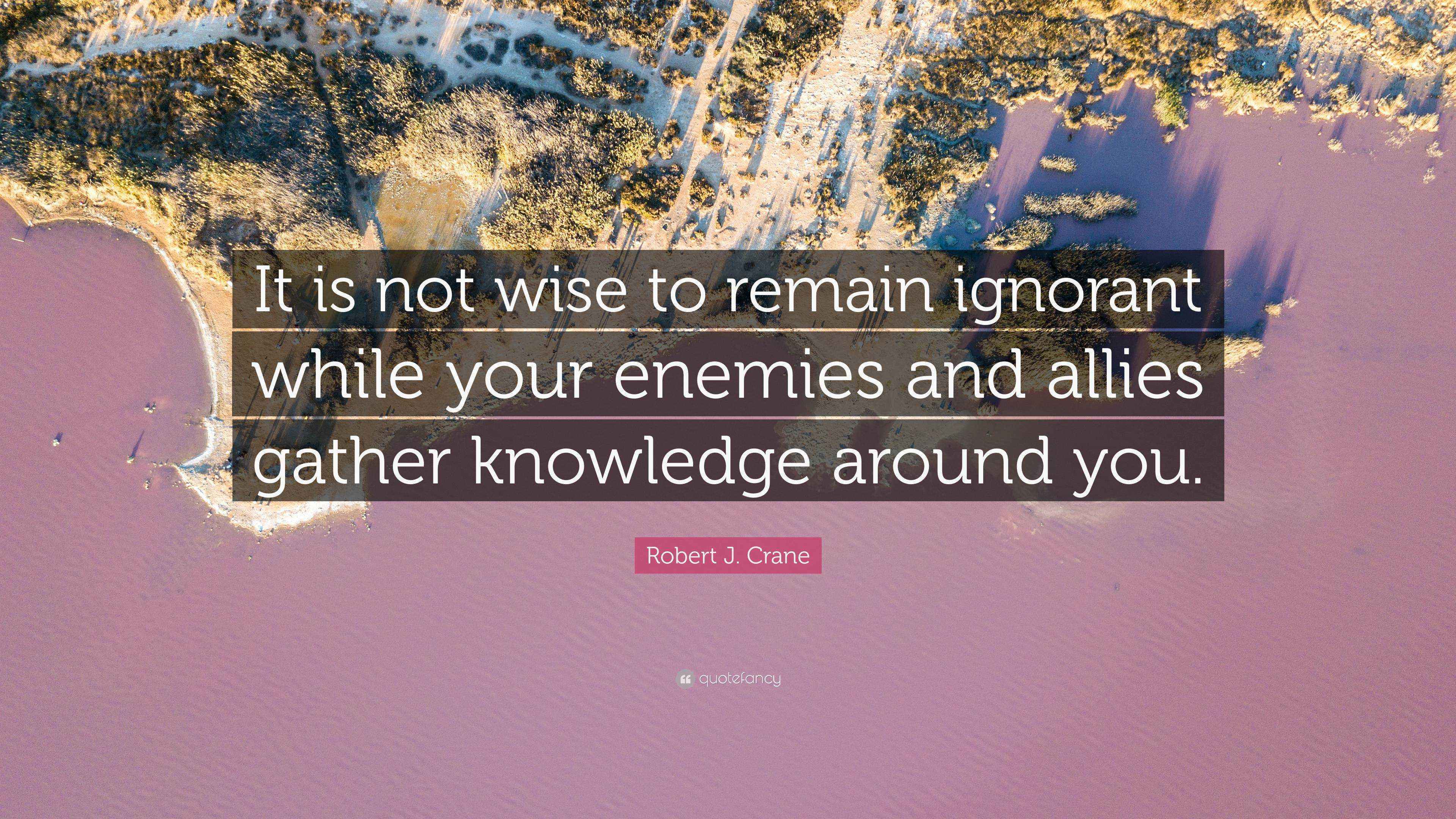 Robert J. Crane Quote: “It is not wise to remain ignorant while your ...