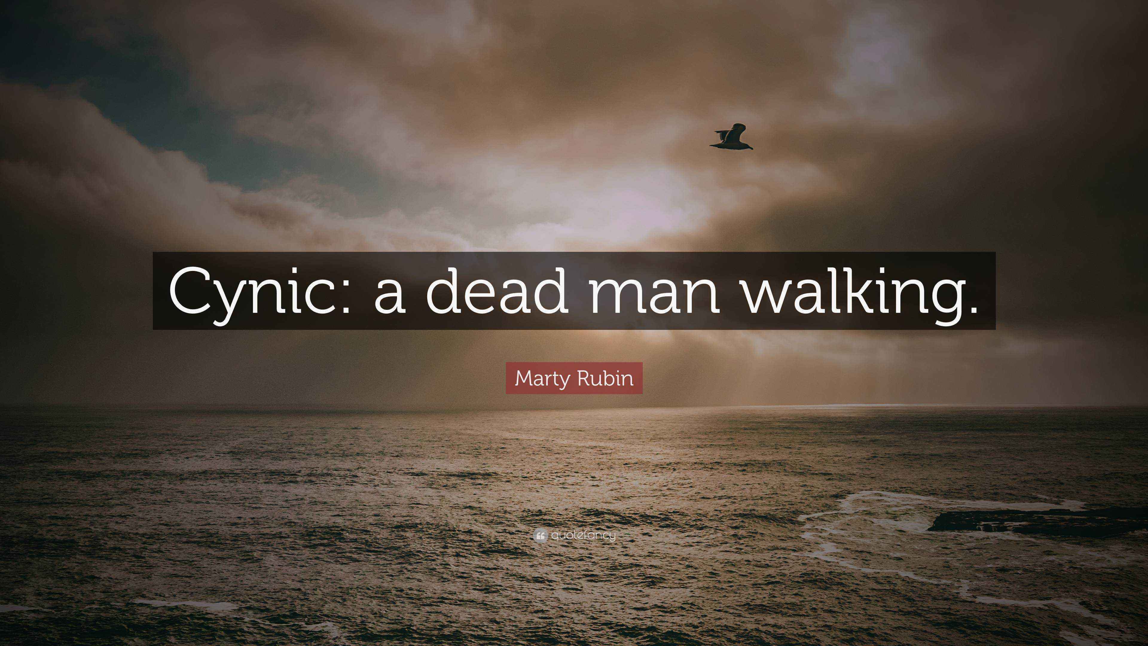 Dead Man Walking Quotes Joseph Morgan Quote: “I Love The Walking