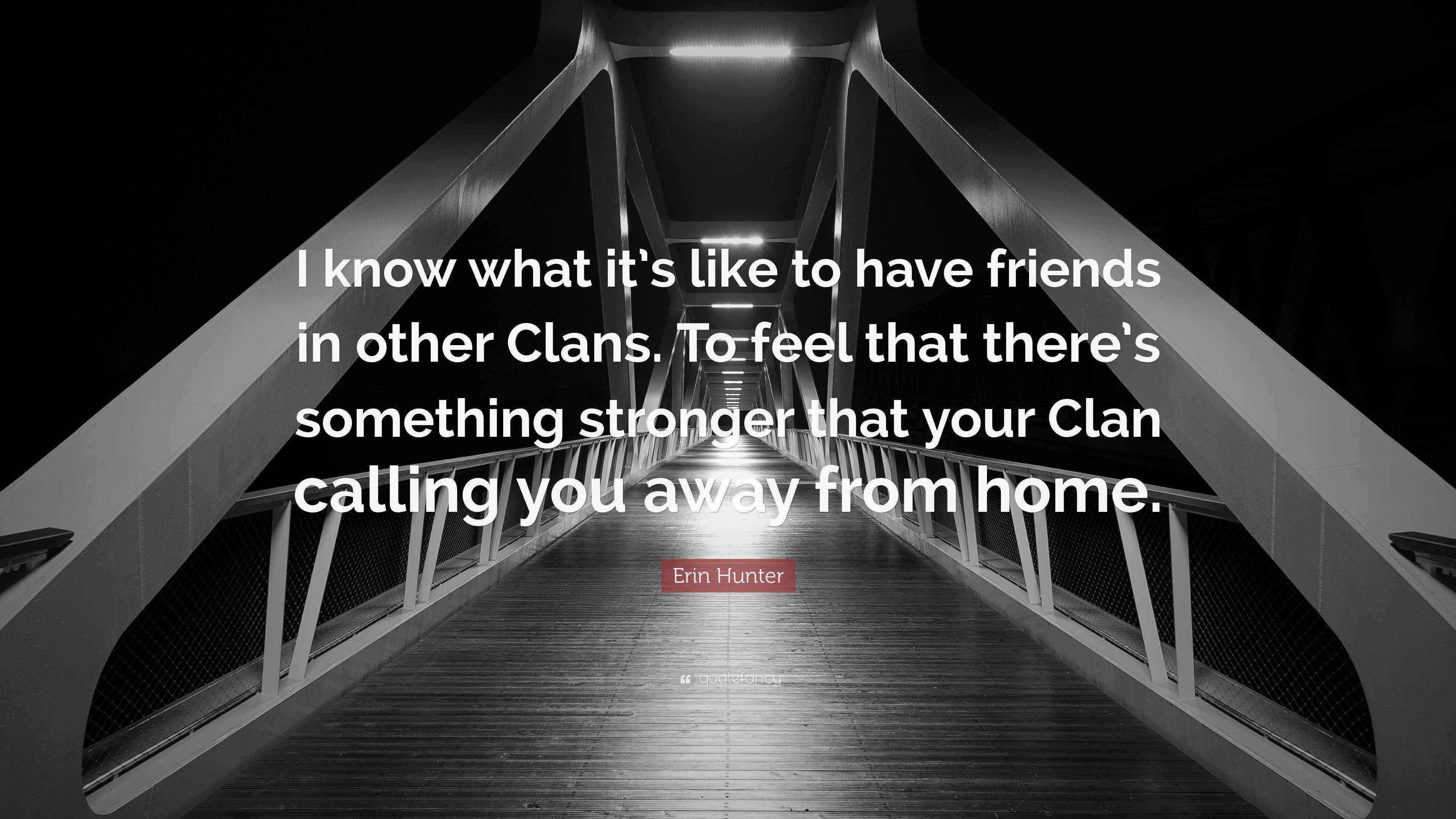 Erin Hunter Quote: “I know what it’s like to have friends in other ...