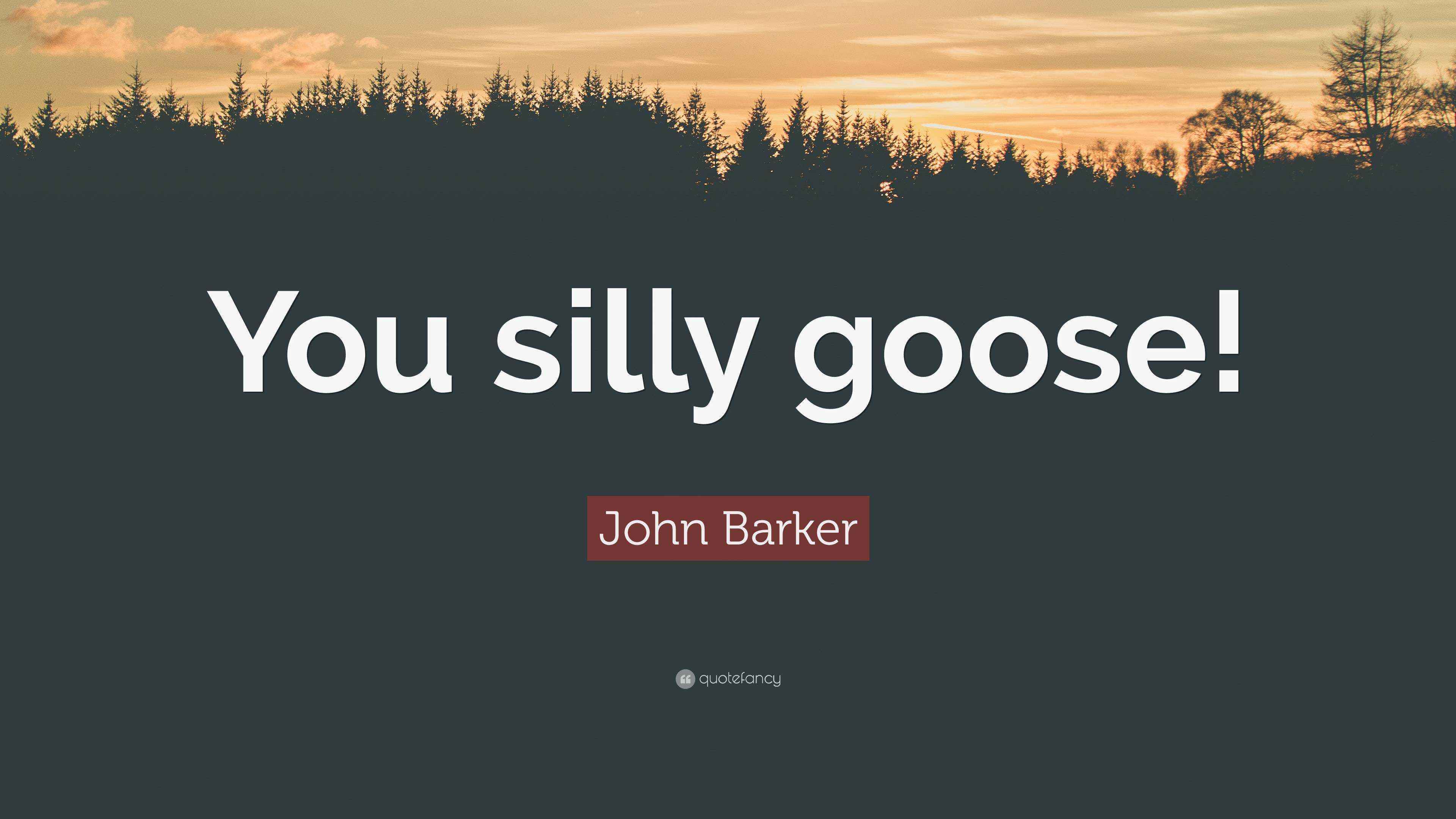 John Barker Quote: “You silly goose!”
