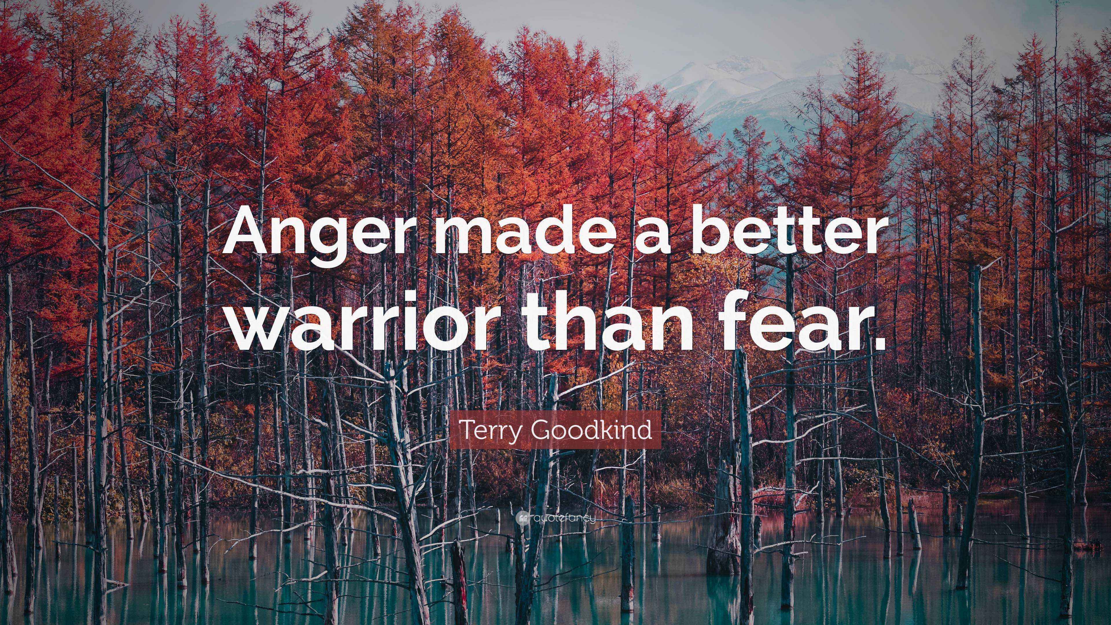 Terry Goodkind Quote: “Anger made a better warrior than fear.”