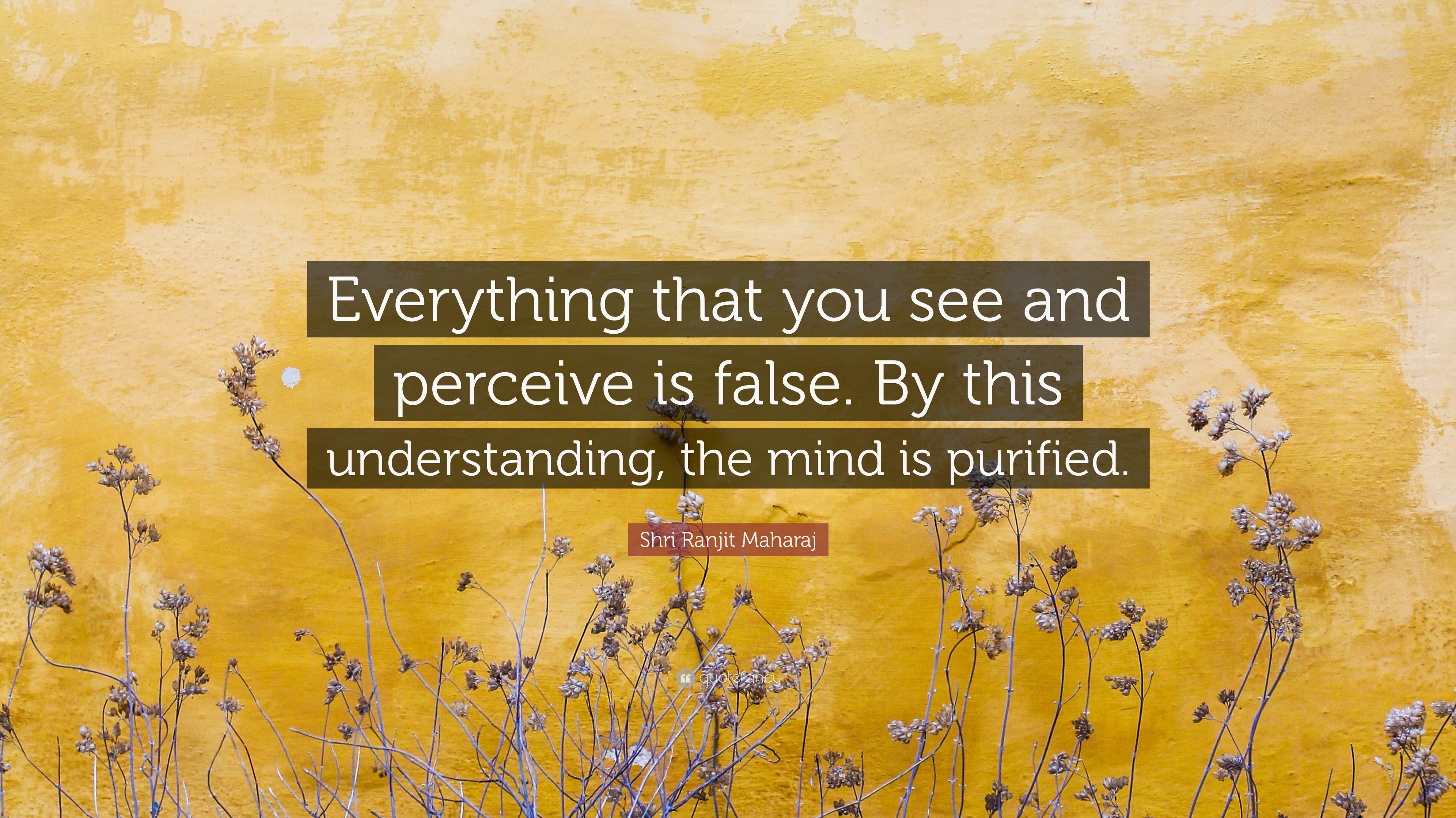 Shri Ranjit Maharaj Quote: “Everything that you see and perceive is ...