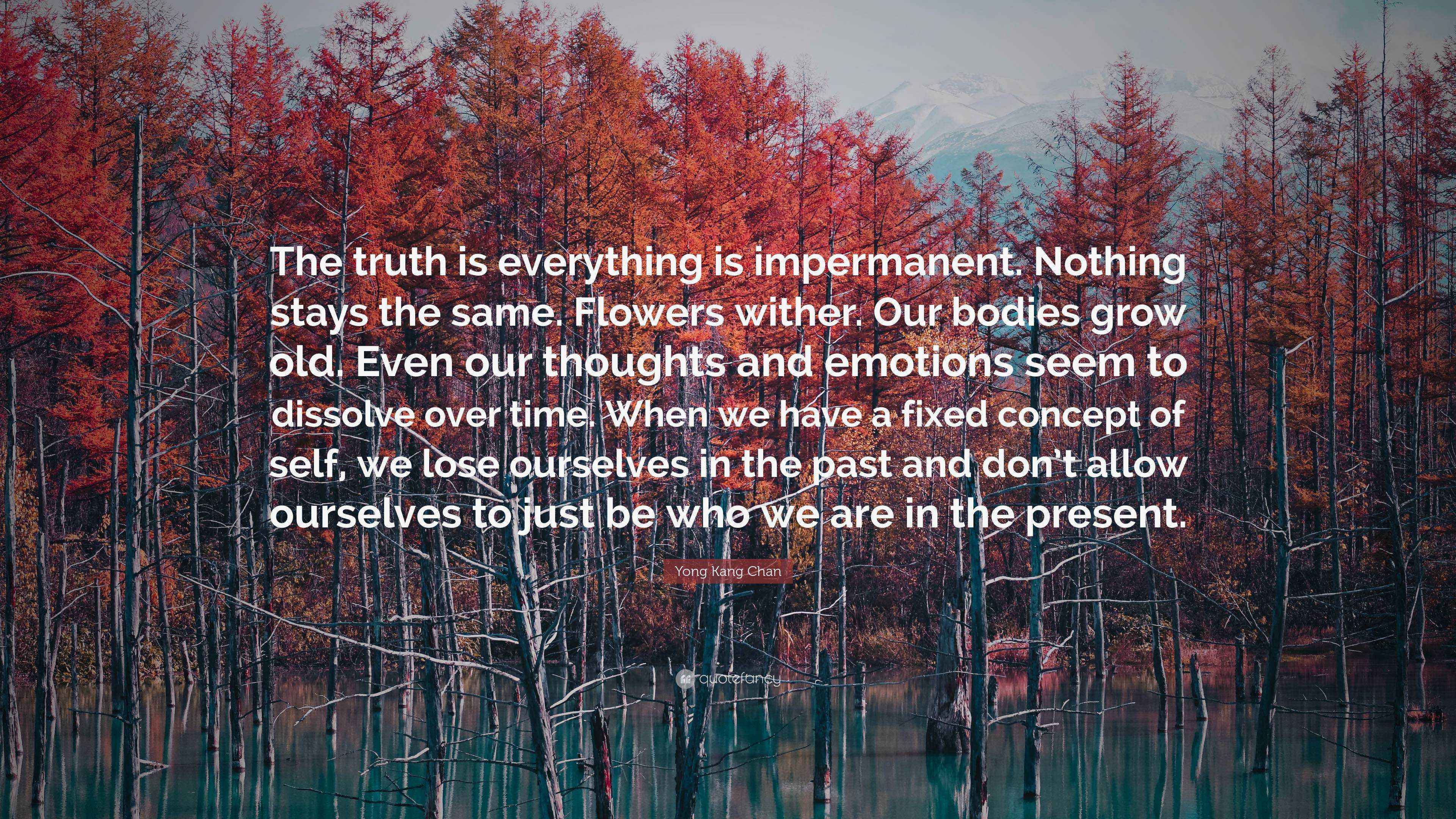 Yong Kang Chan Quote: “The truth is everything is impermanent. Nothing ...
