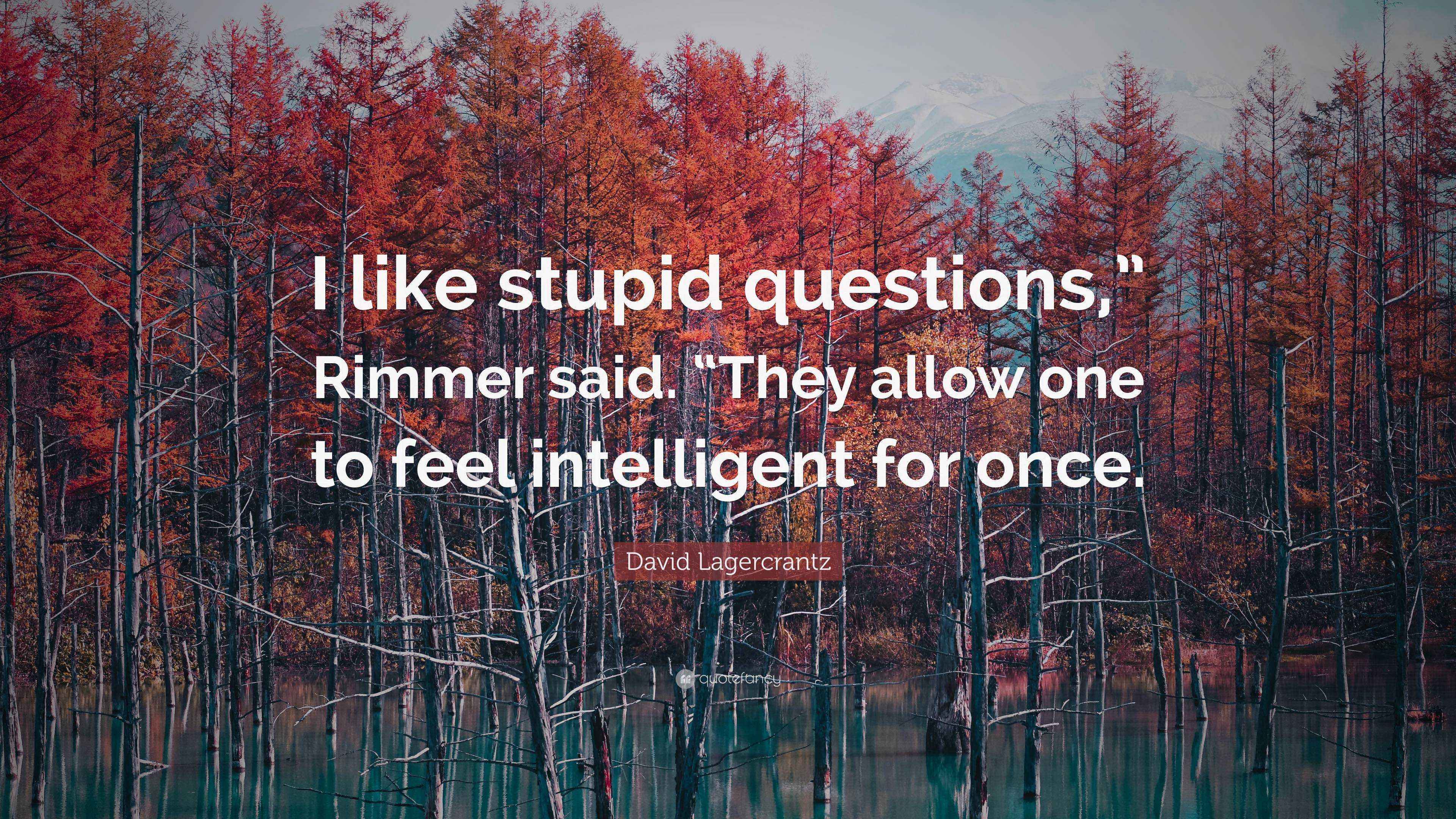 David Lagercrantz Quote: “I like stupid questions,” Rimmer said. “They ...