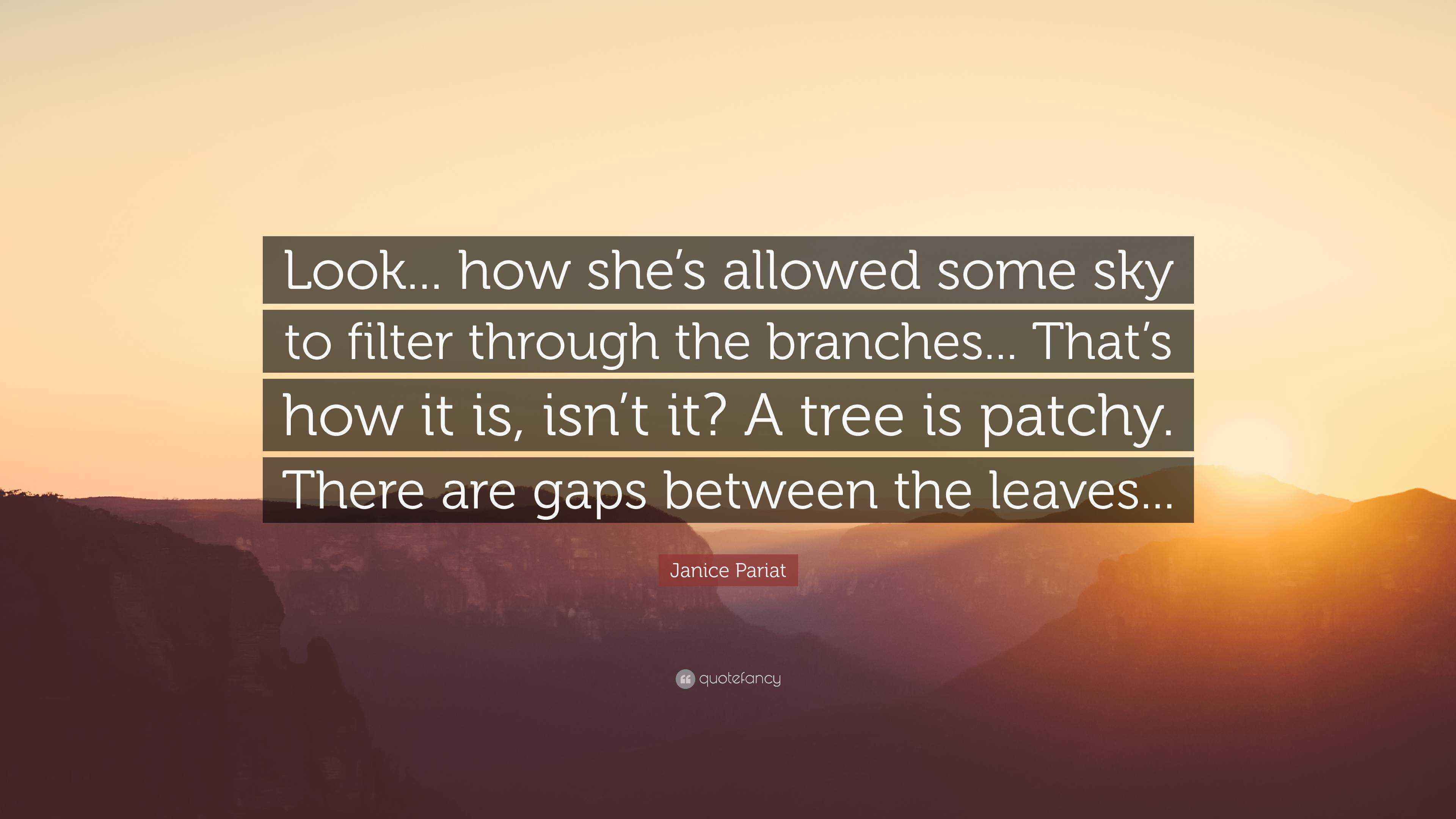 Janice Pariat Quote: “Look... how she’s allowed some sky to filter ...