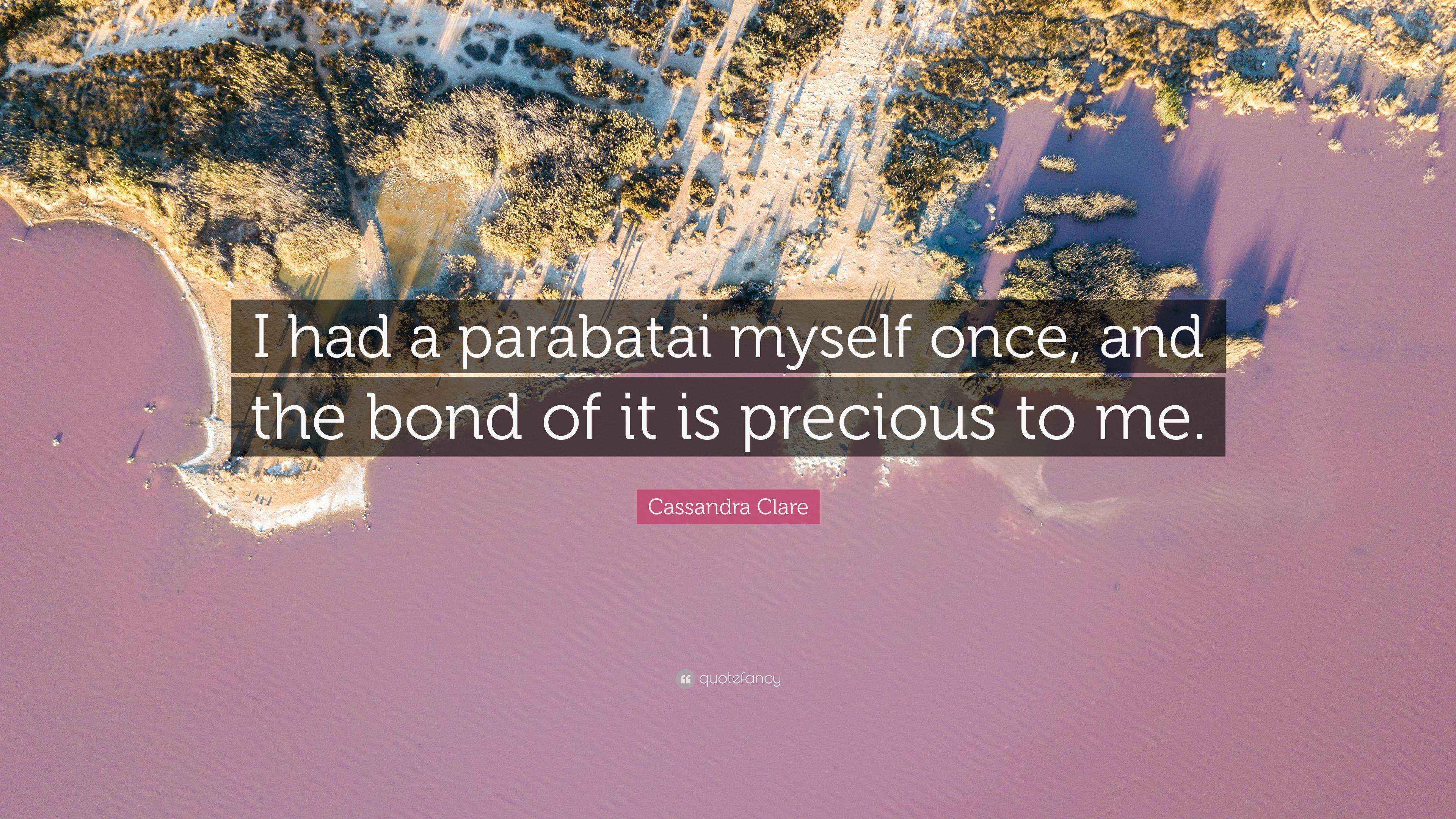 Cassandra Clare Quote: “I had a parabatai myself once, and the bond of ...