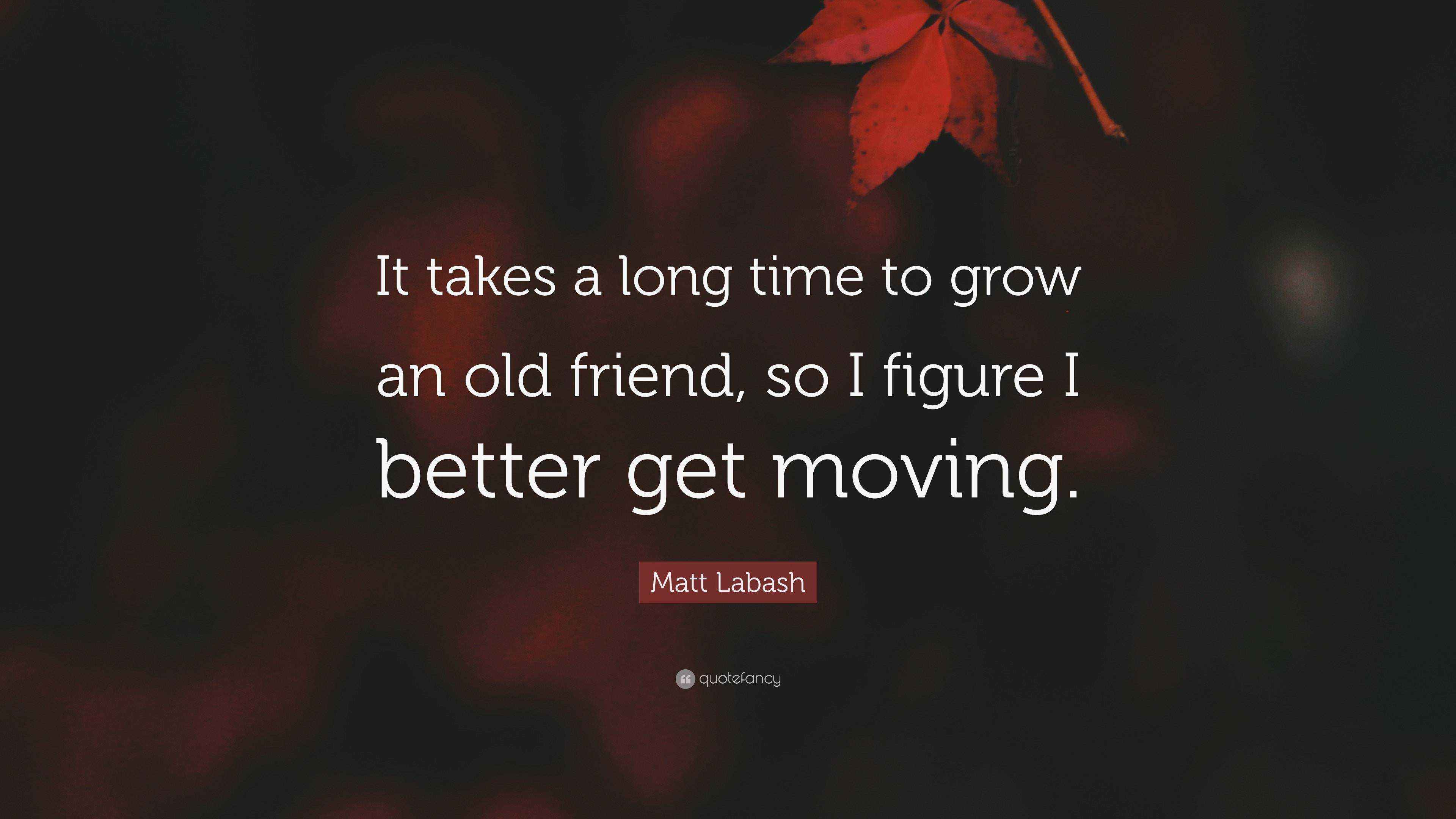 Matt Labash Quote: “It takes a long time to grow an old friend, so I ...