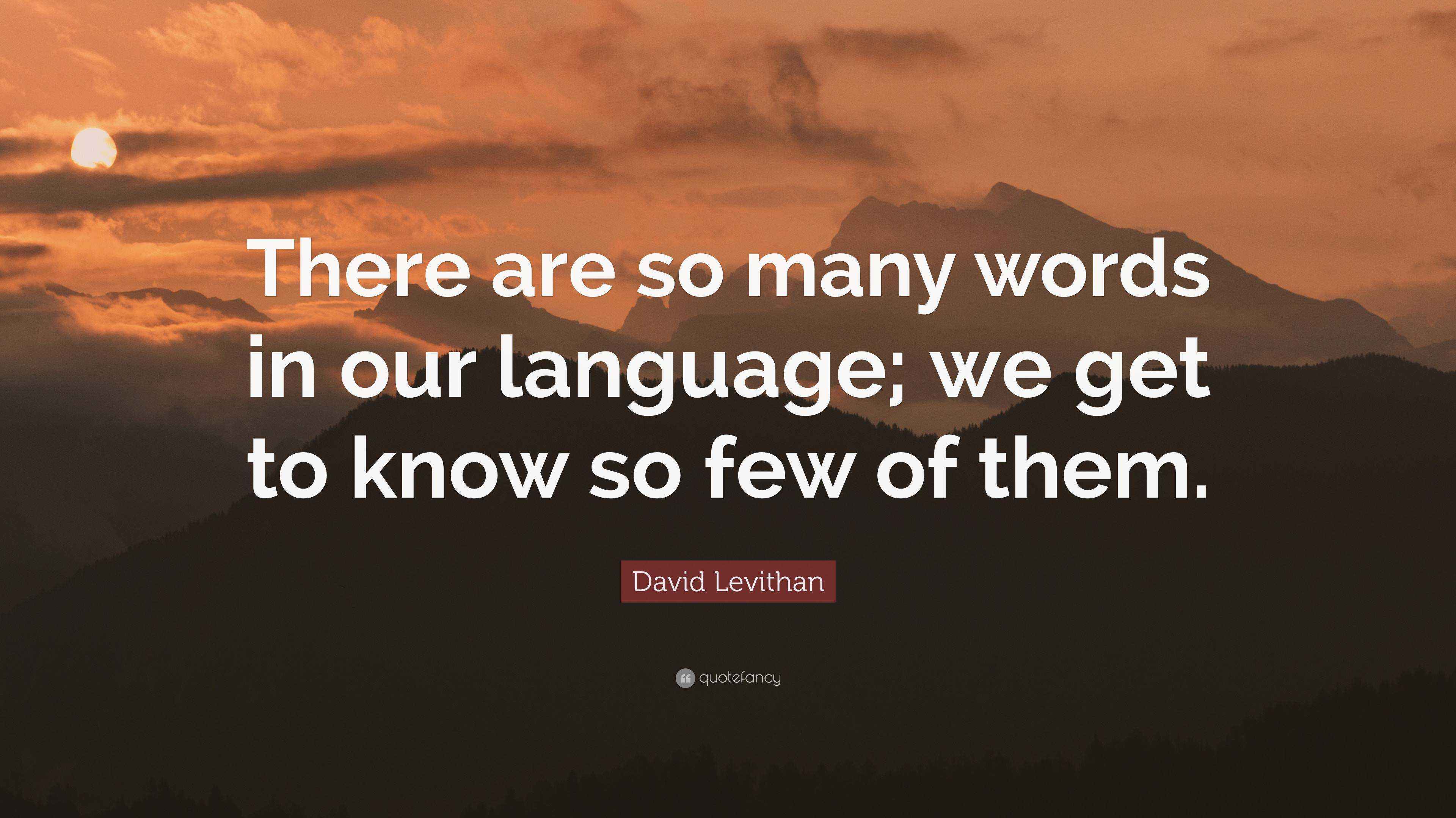 David Levithan Quote: “There are so many words in our language; we get ...