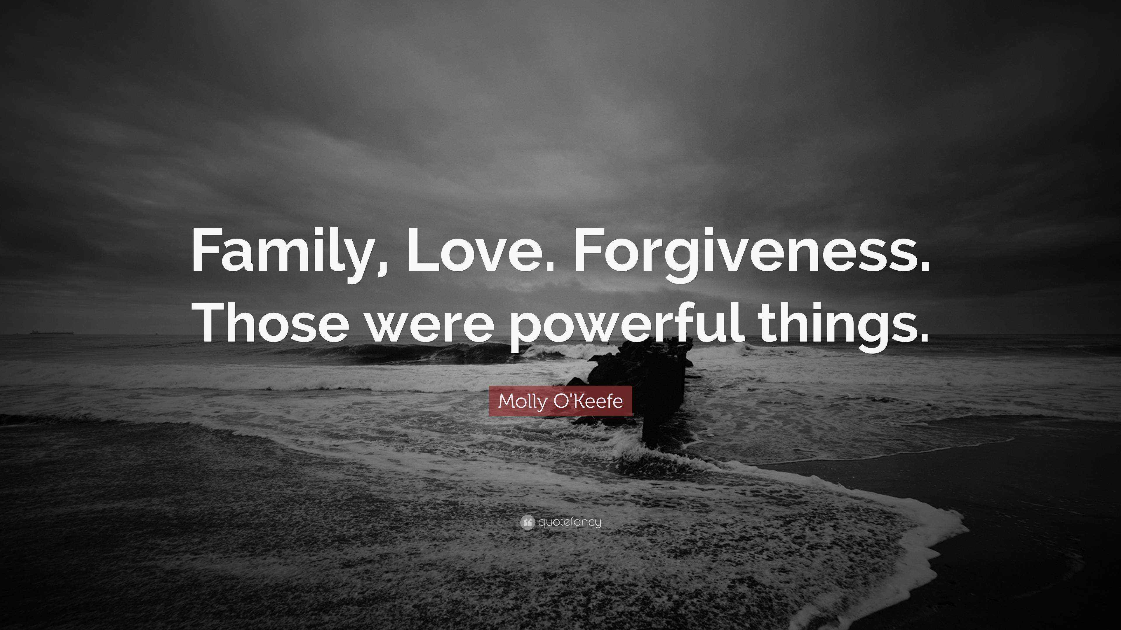 Molly O'Keefe Quote: “Family, Love. Forgiveness. Those were powerful ...