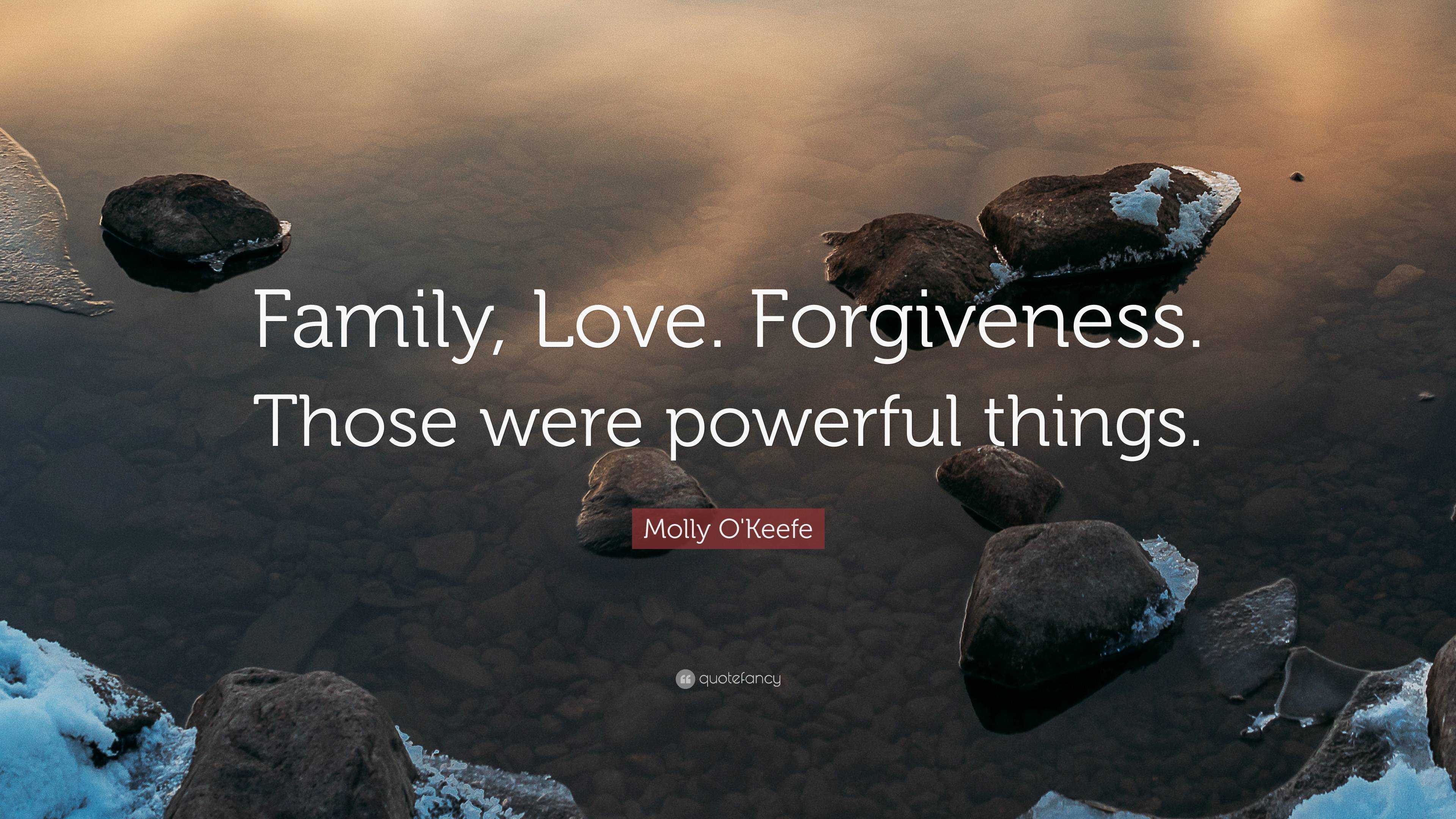 Molly O'Keefe Quote: “Family, Love. Forgiveness. Those were powerful ...