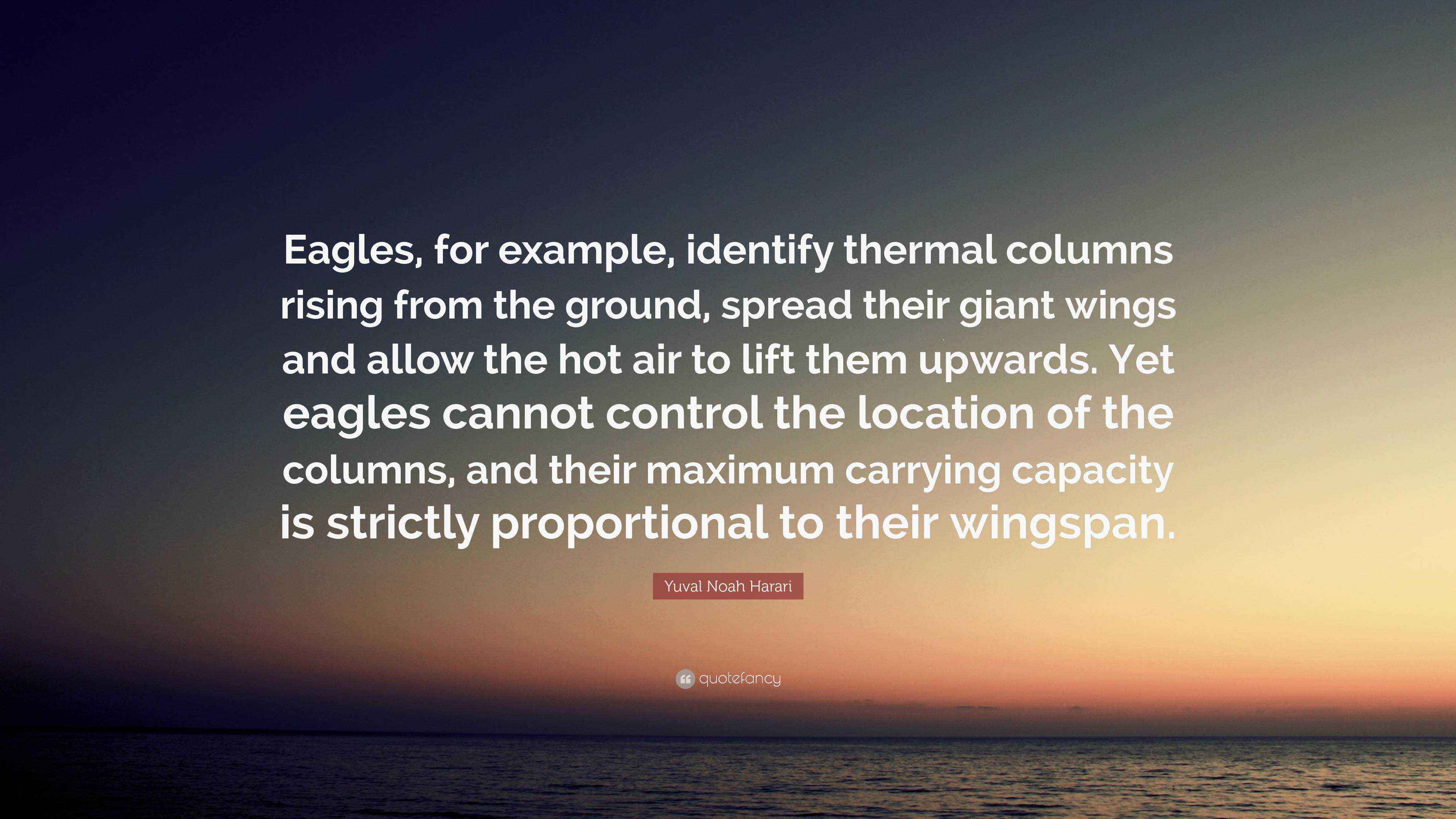 Yuval Noah Harari Quote: “Eagles, for example, identify thermal columns ...