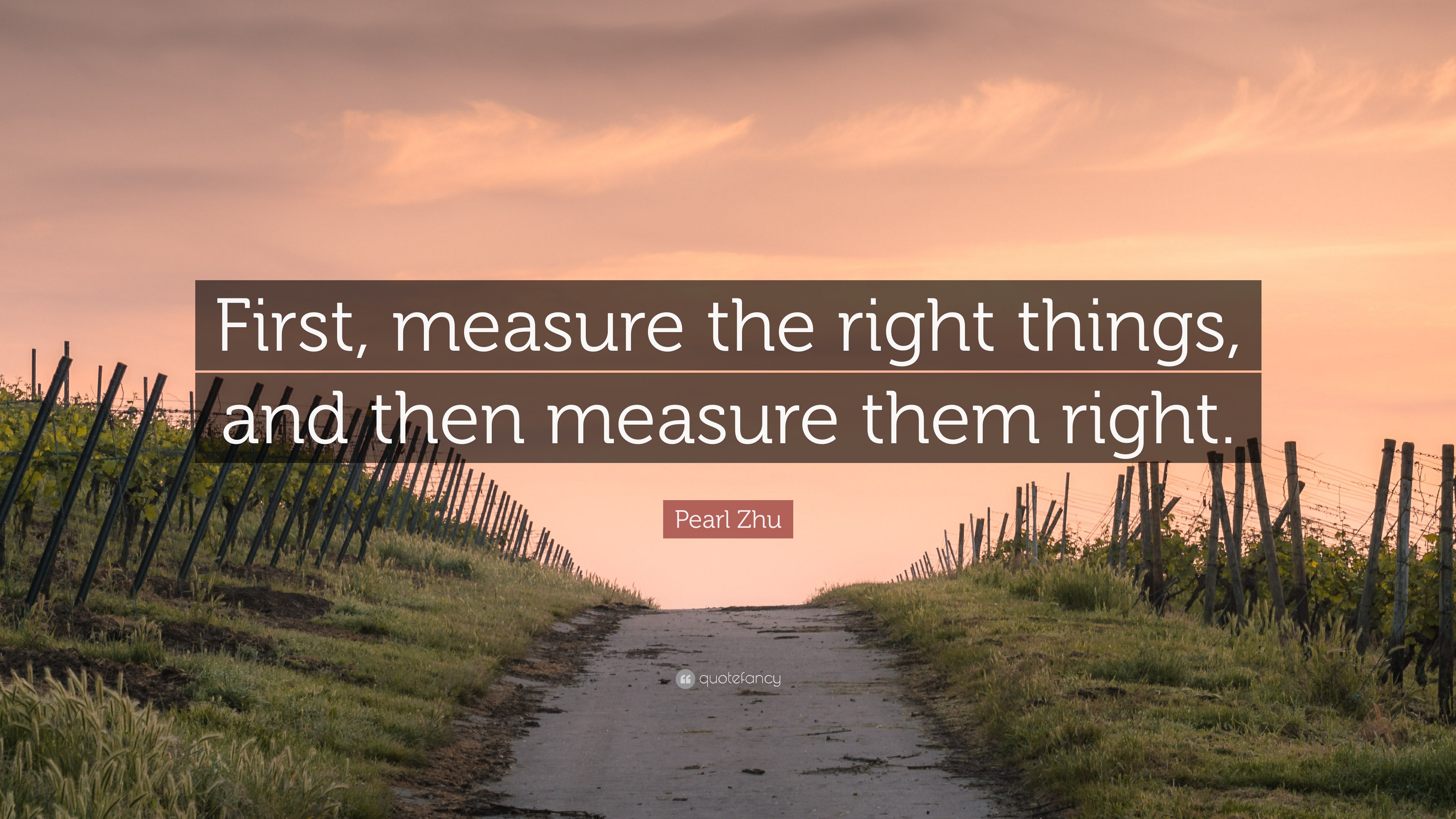 Pearl Zhu Quote: “First, measure the right things, and then measure ...
